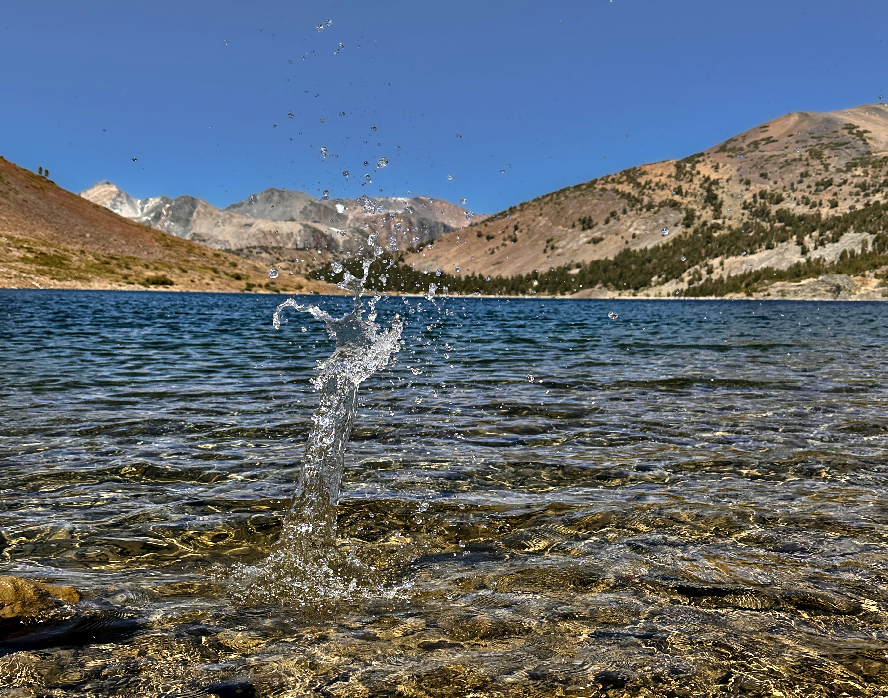 Splash of Alpine Clarity at Needle Lake