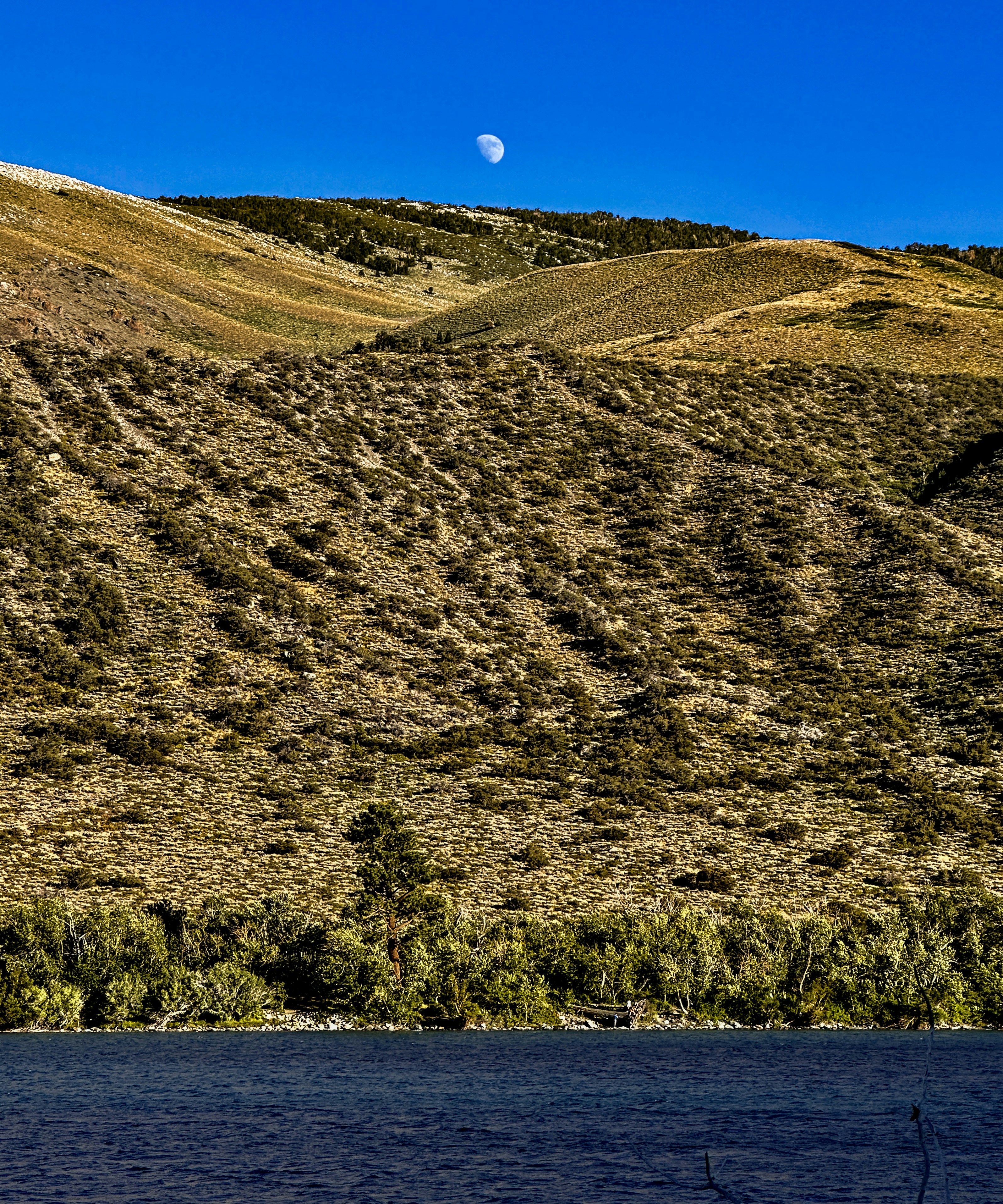Moon over a sunlit hillside by a quiet lake