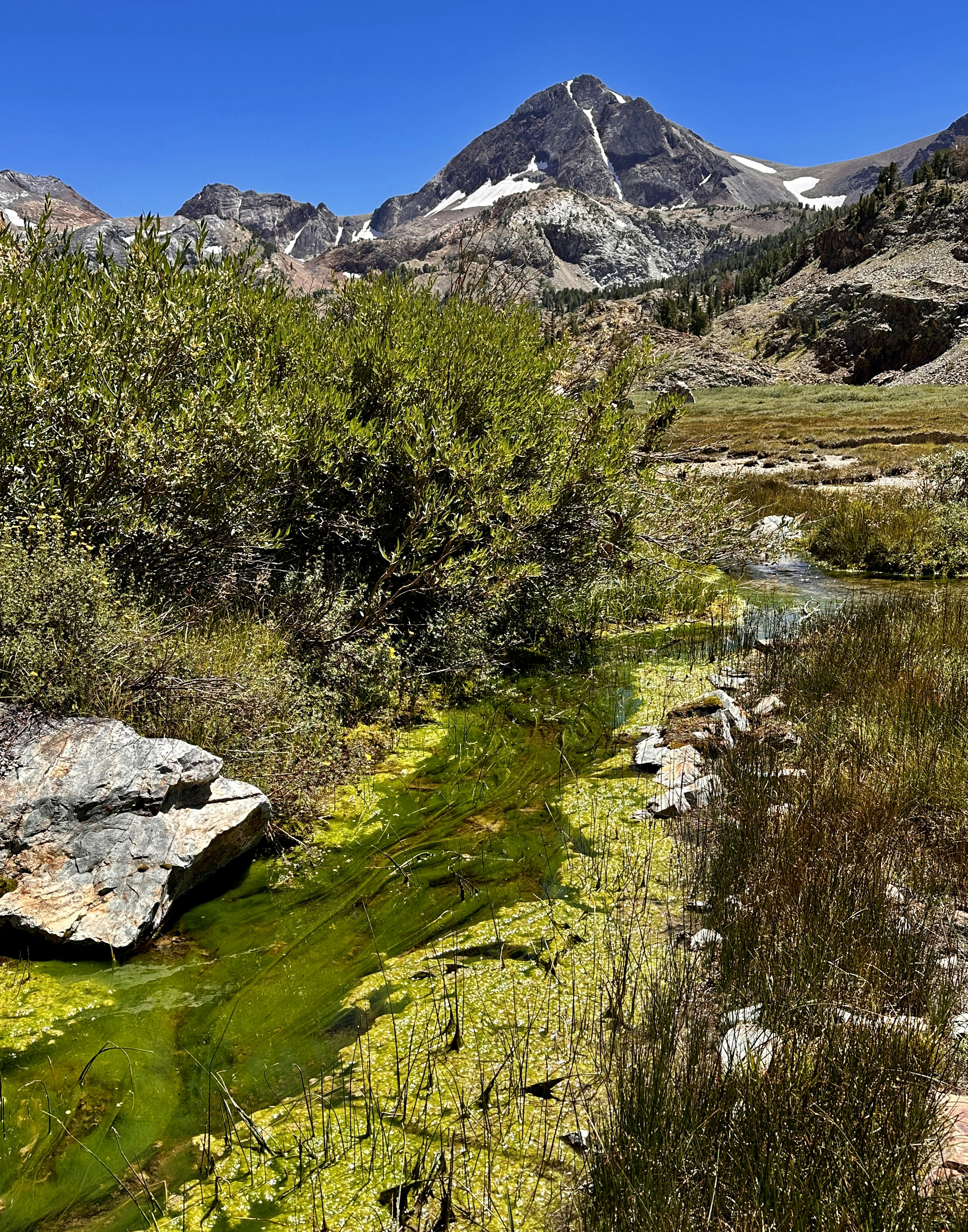 Clear alpine stream threads through mossy banks and low vegetation toward distant rocky peaks under a blue sky.