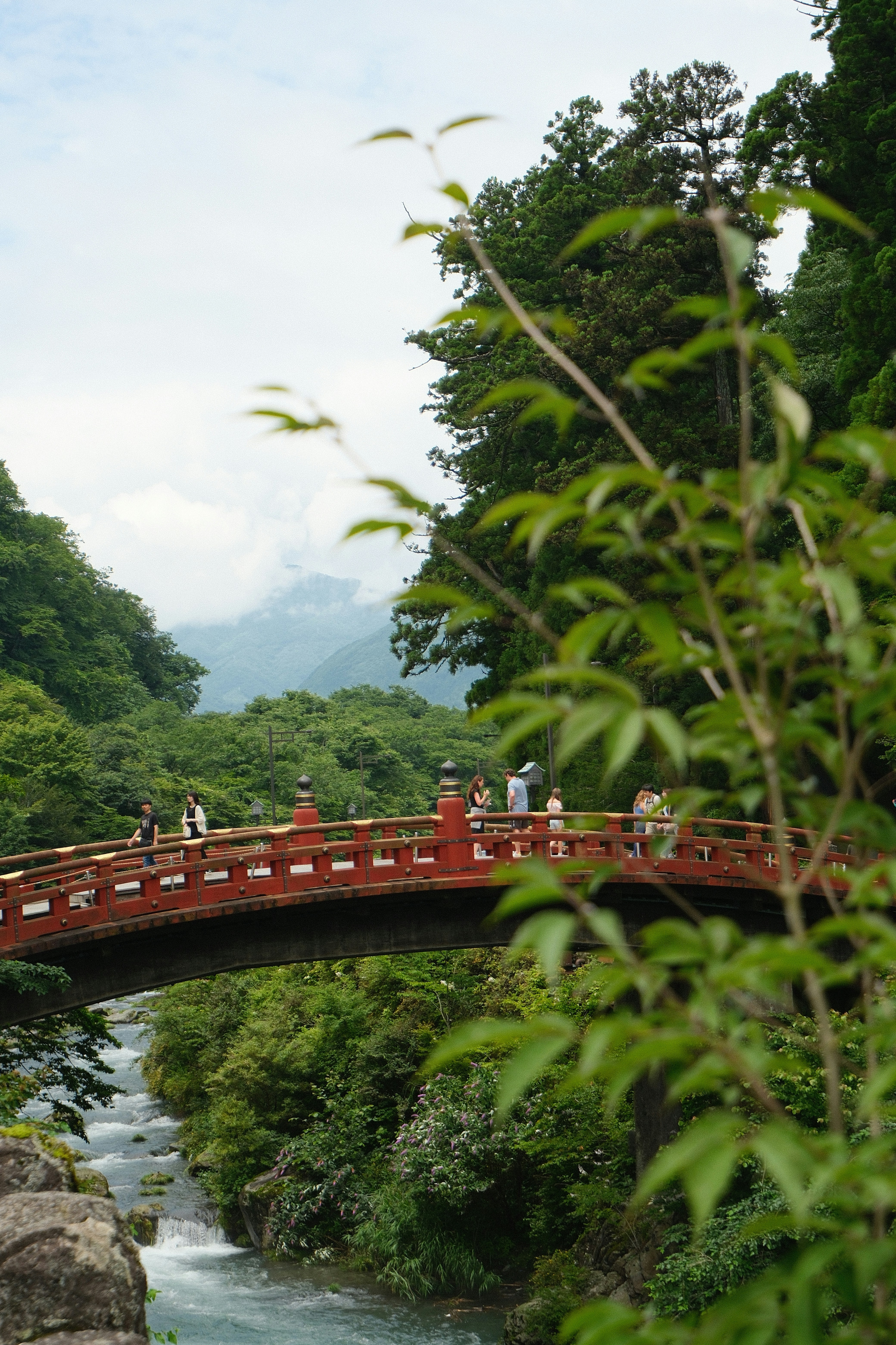 Red-arched Bridge Crossing a Verdant Gorge