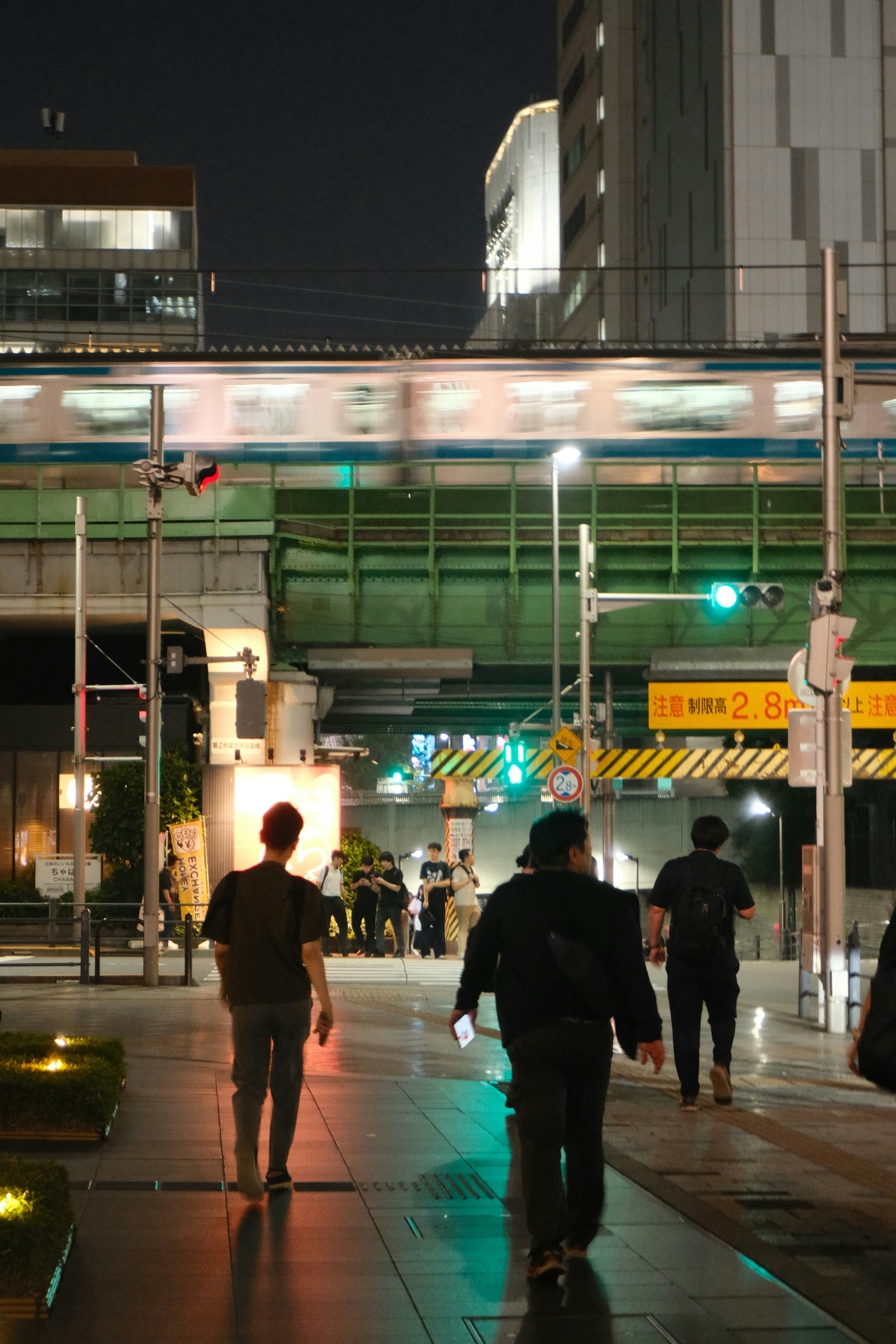 Night Foottraffic Under the Elevated Transit