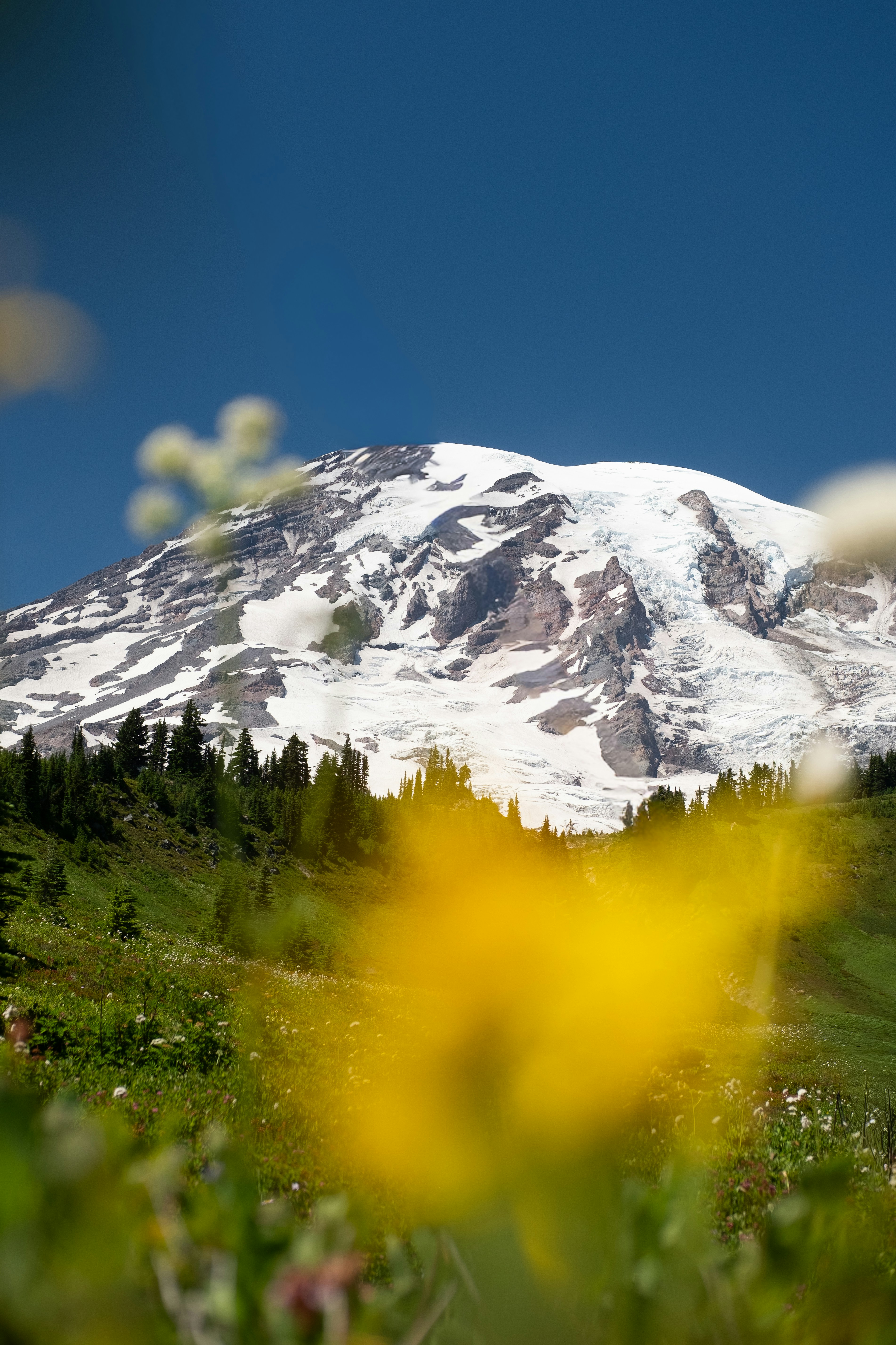 Majestic snow-capped mountain with wildflowers in a green meadow.