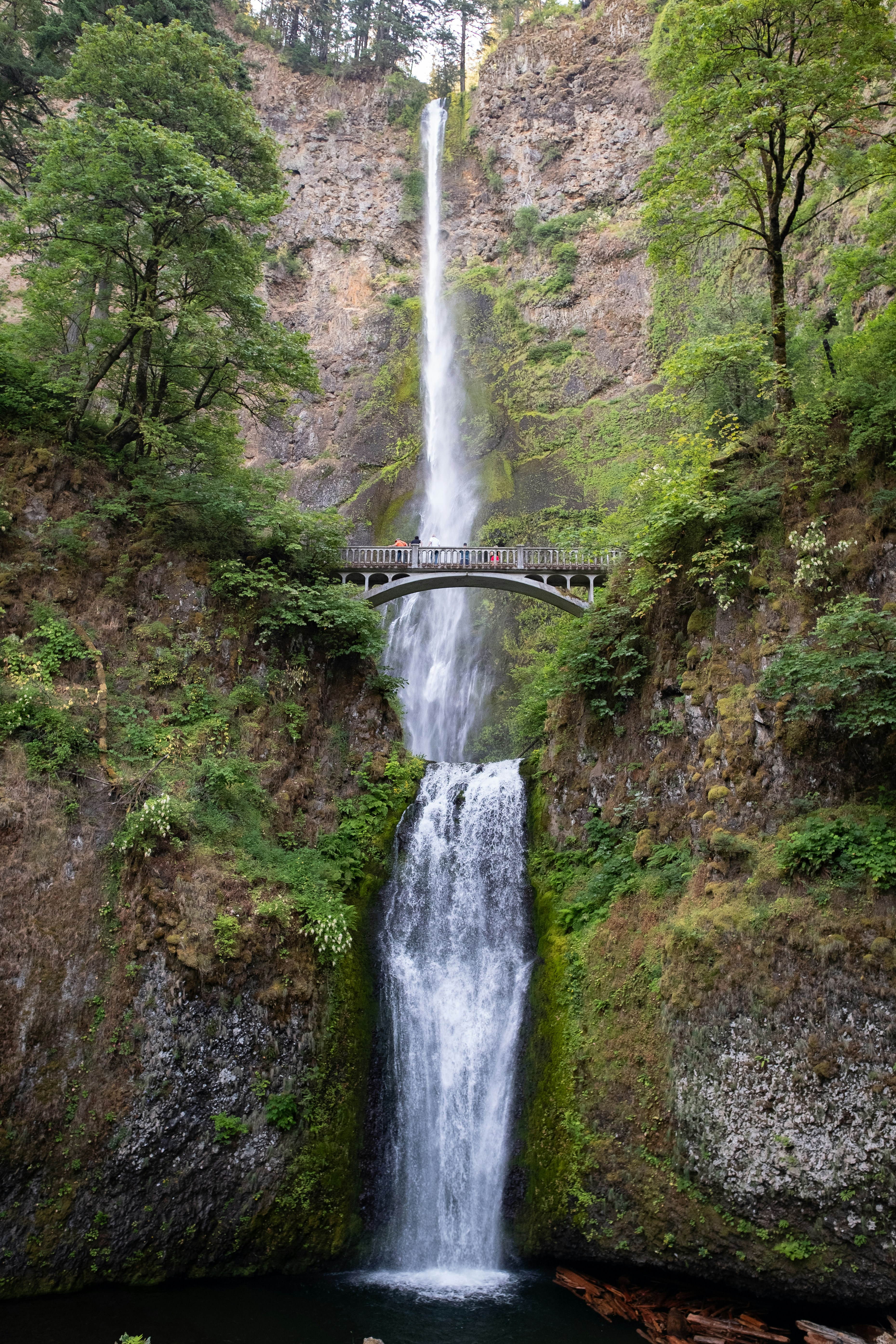 Whispering Falls: A Suspended View Over the Gorge