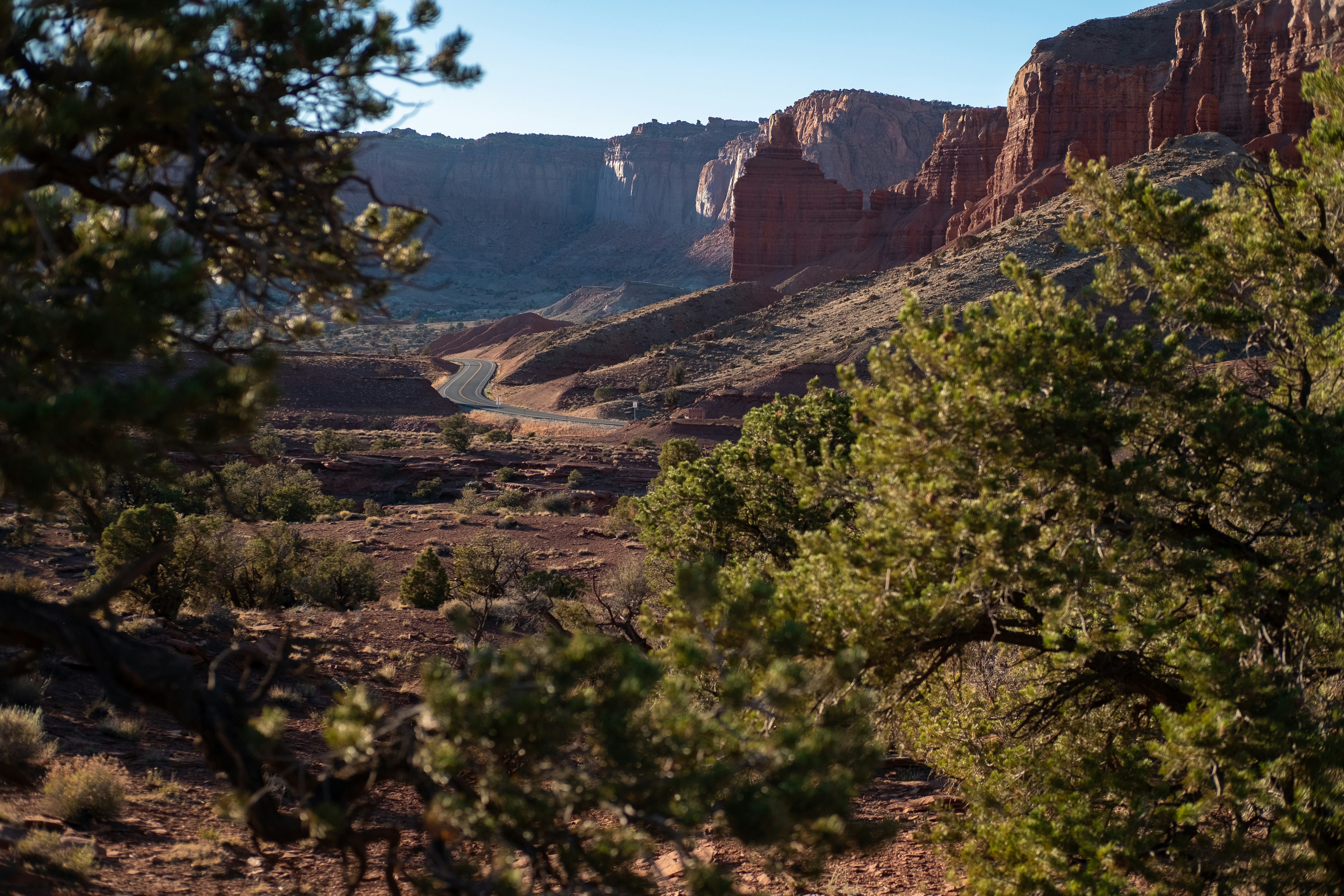 Desert Ribbon: A Winding Road through Canyon Carved Valleys