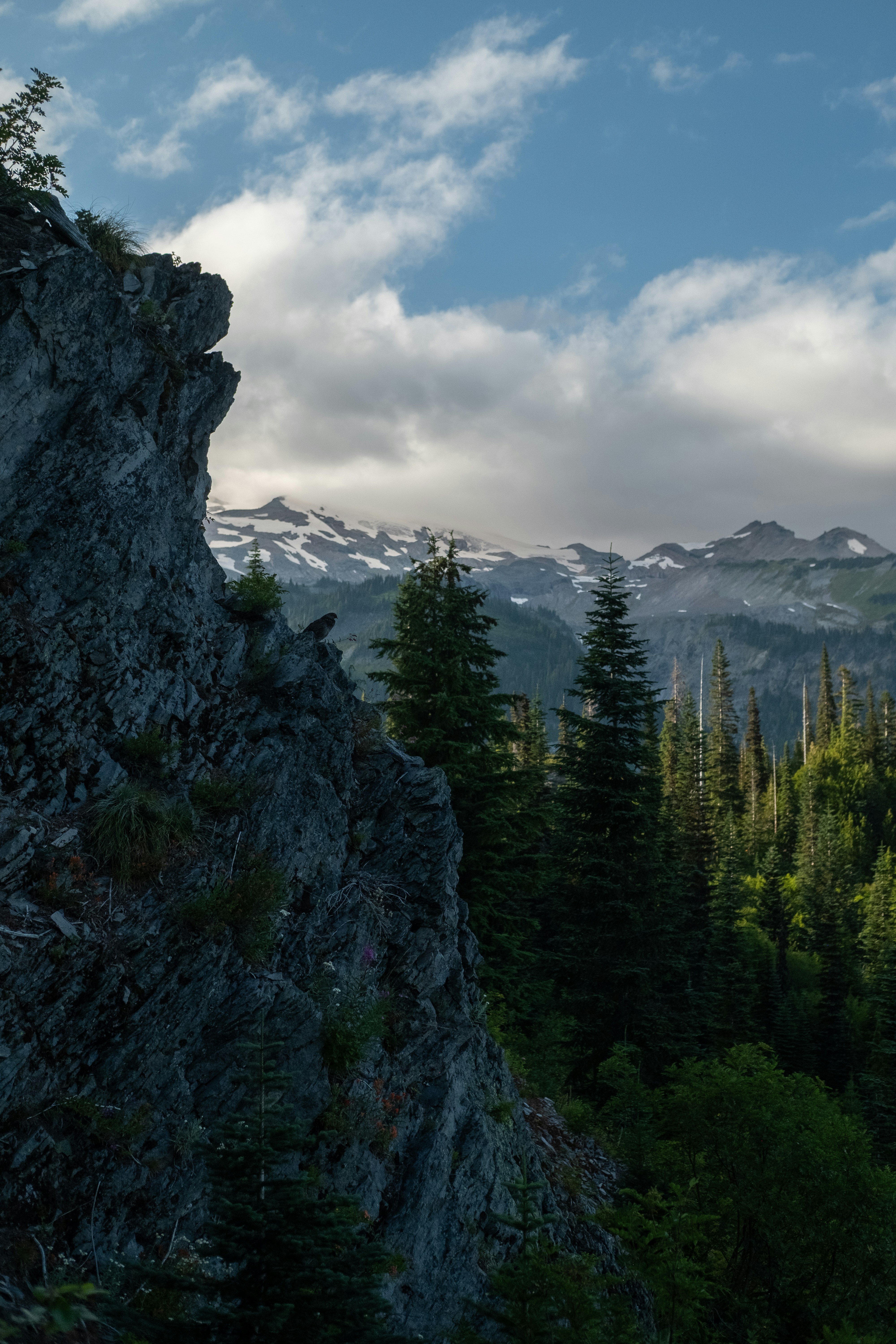 Edge of the Pines: A Rocky Promontory Framing Snow-Capped Peaks