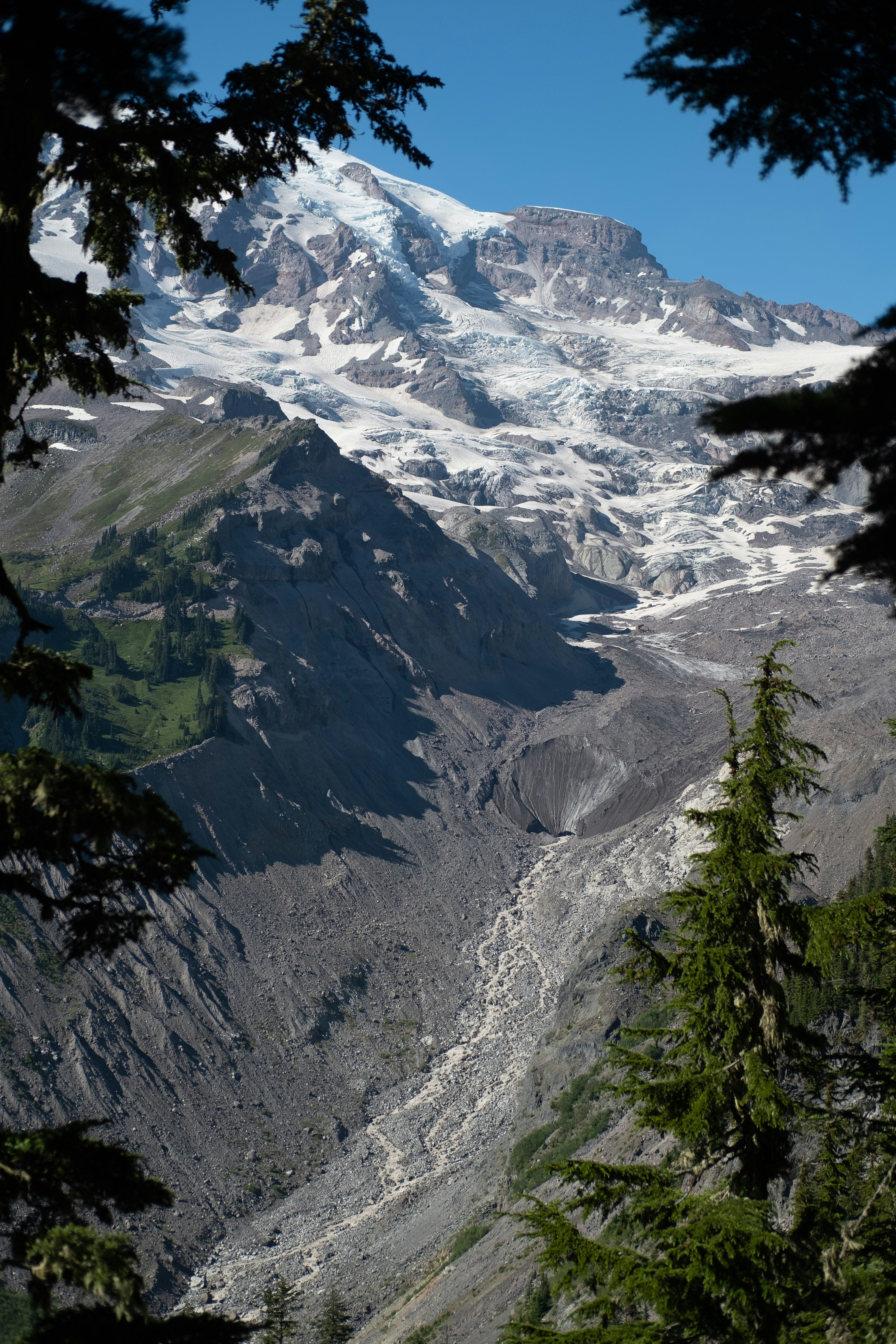 Snowbound Spine: Glacier Veil Surrounded by Pine Silhouettes