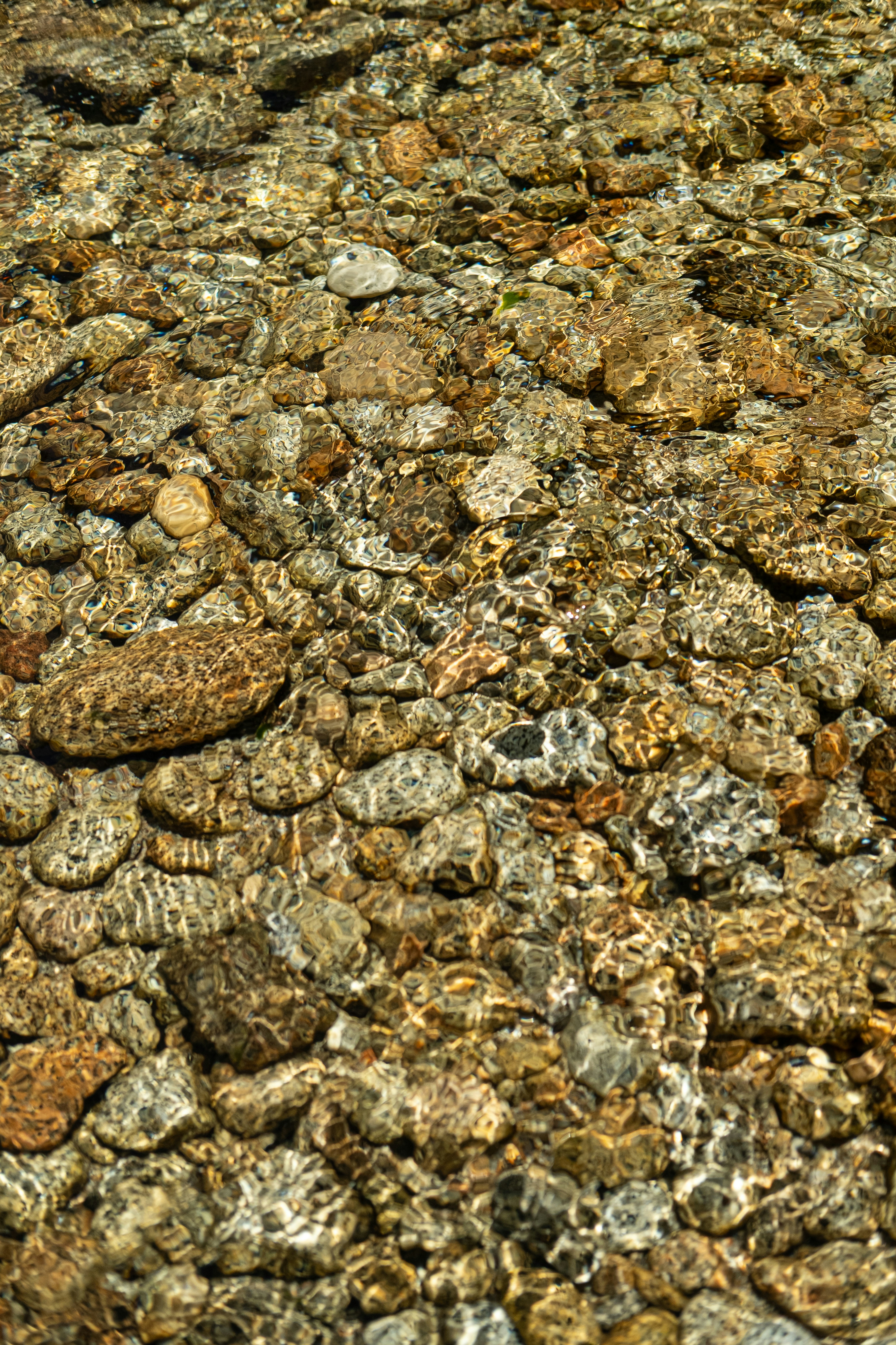Pebble mosaic under sunlit surface: a granular shoreline close-up