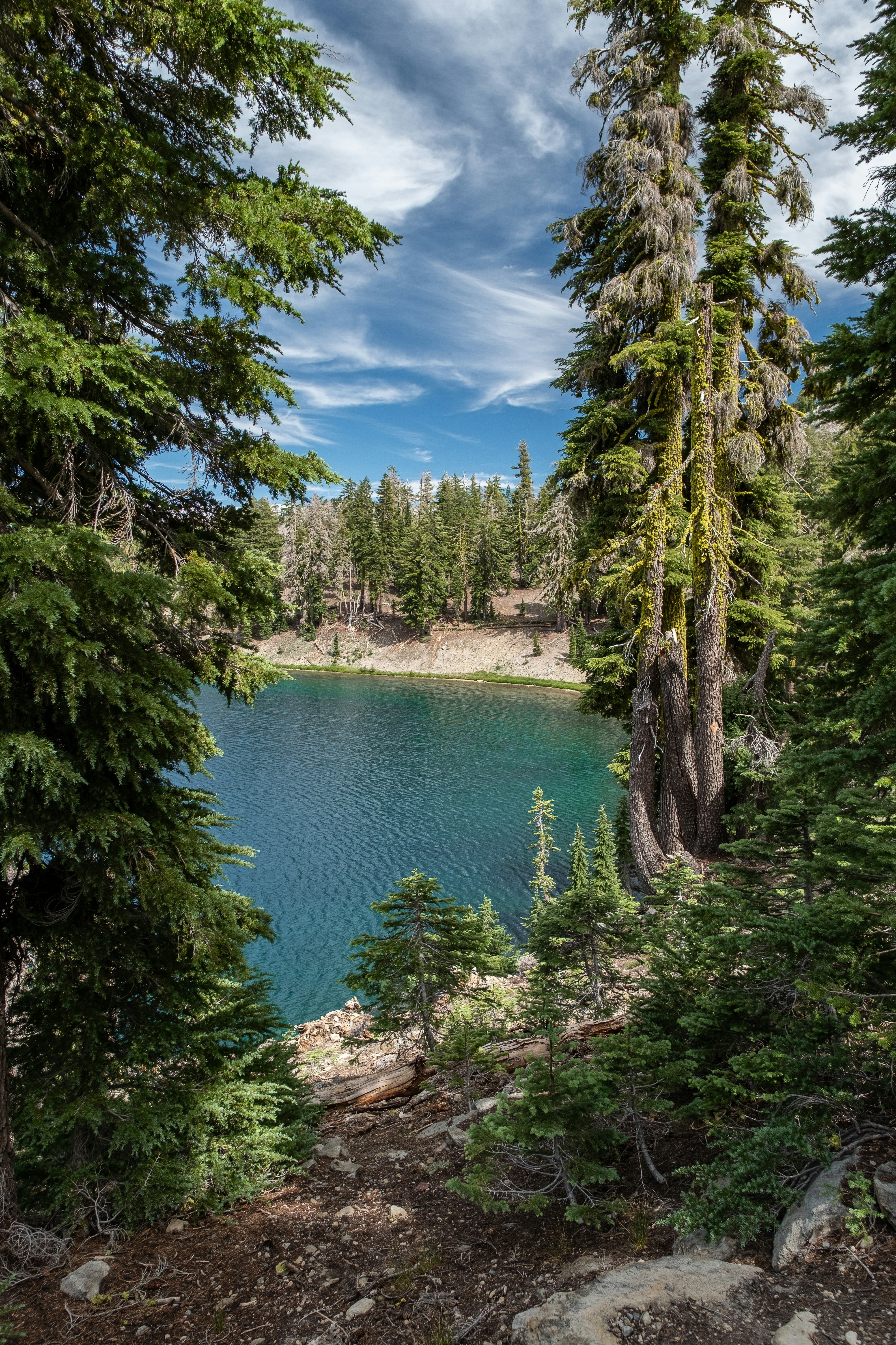 Hidden Blue Basin Among Towering Pines