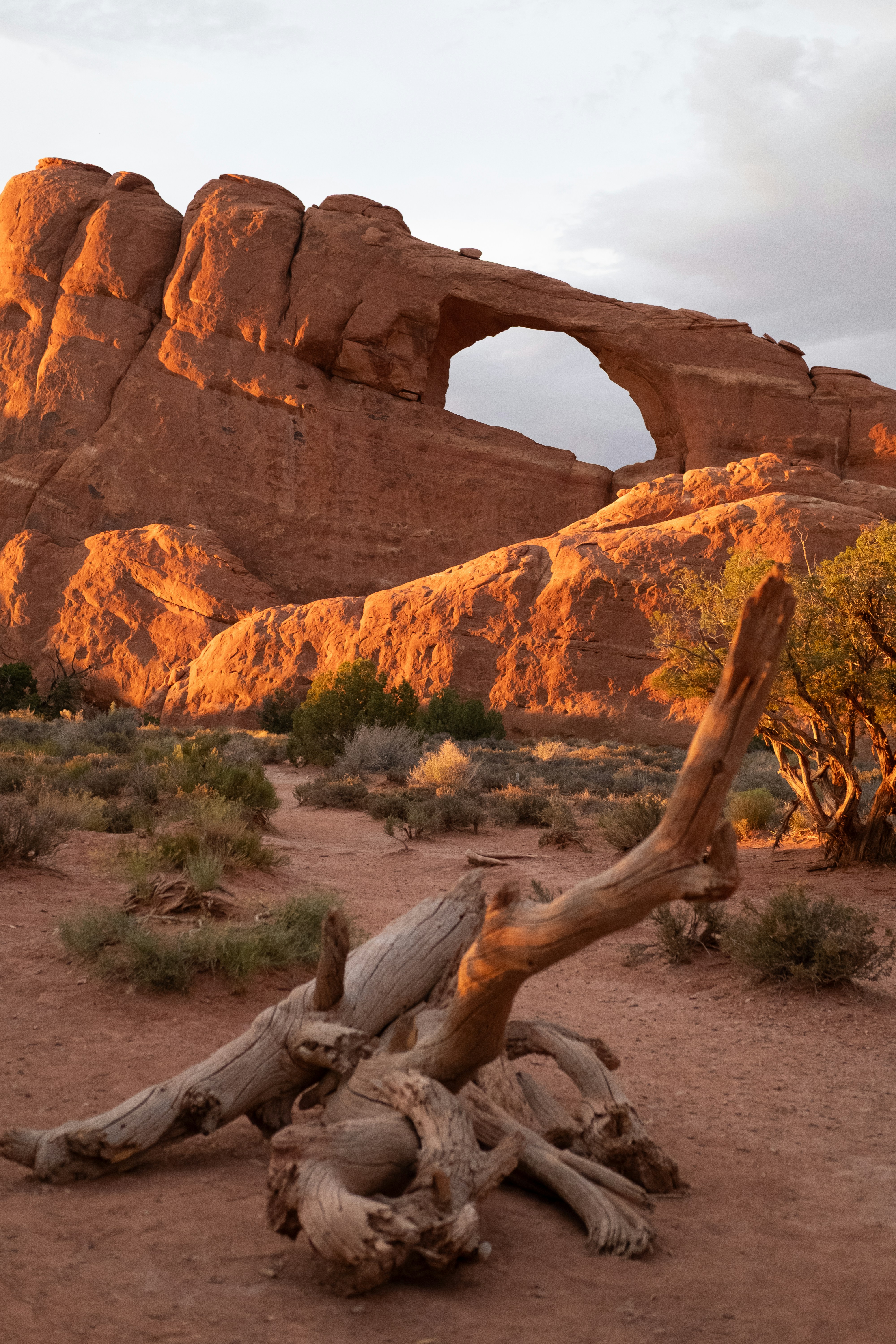 Natural Arch in Warm Desert Light Over Carved Rocks