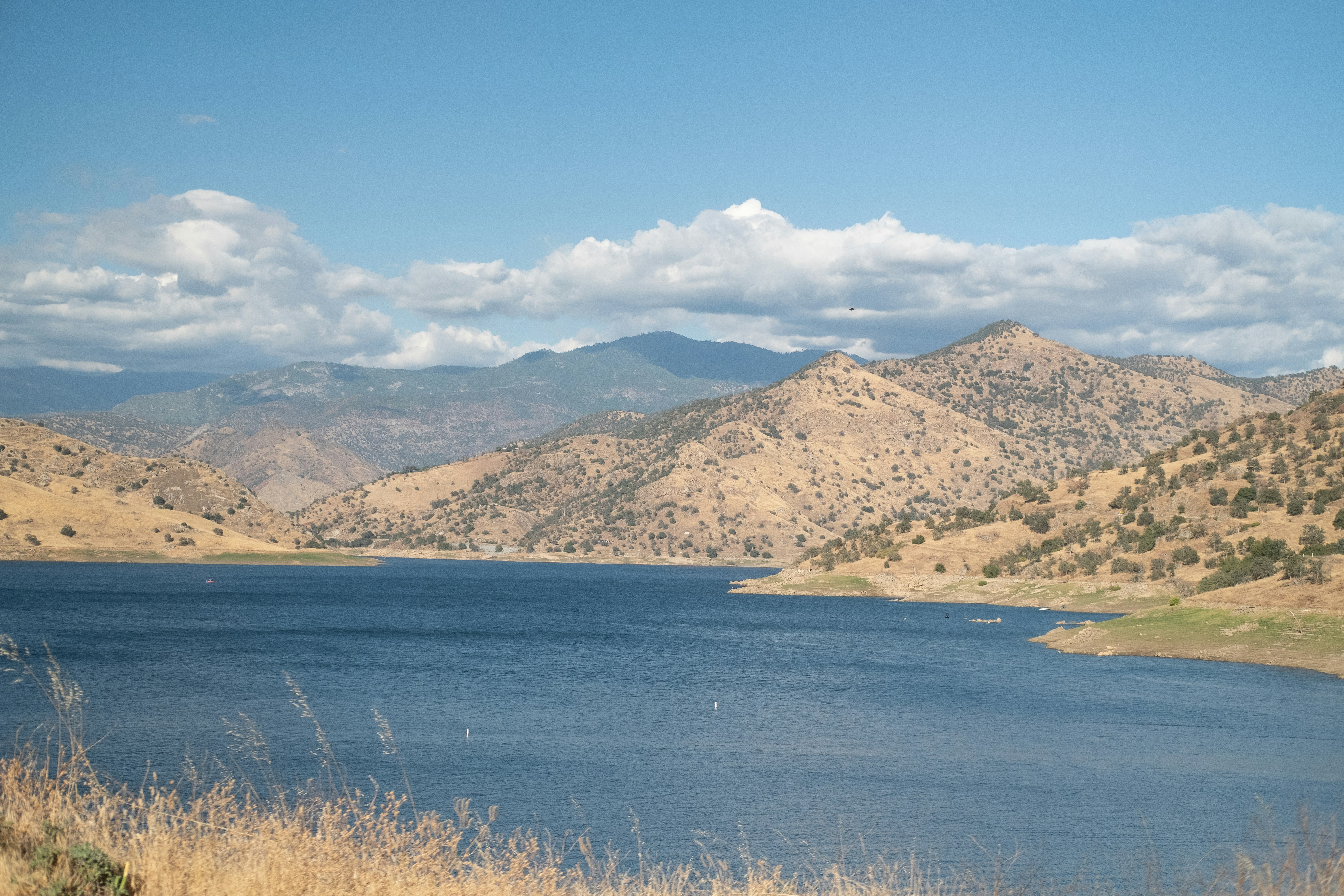 Lakeside Ridge: Golden Hills Meet Deep Blue Waters