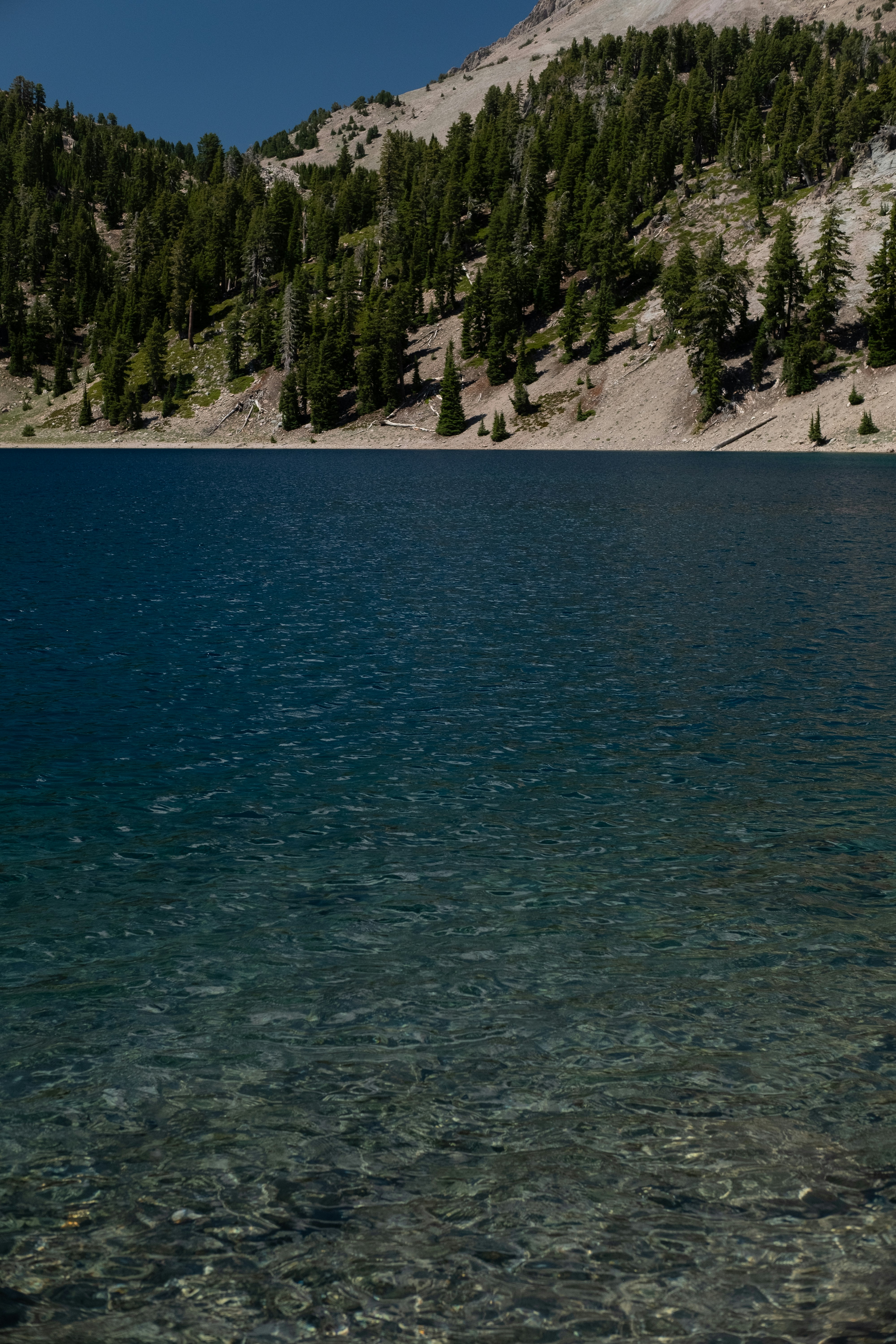 Crystal Waters at the Forested Rim