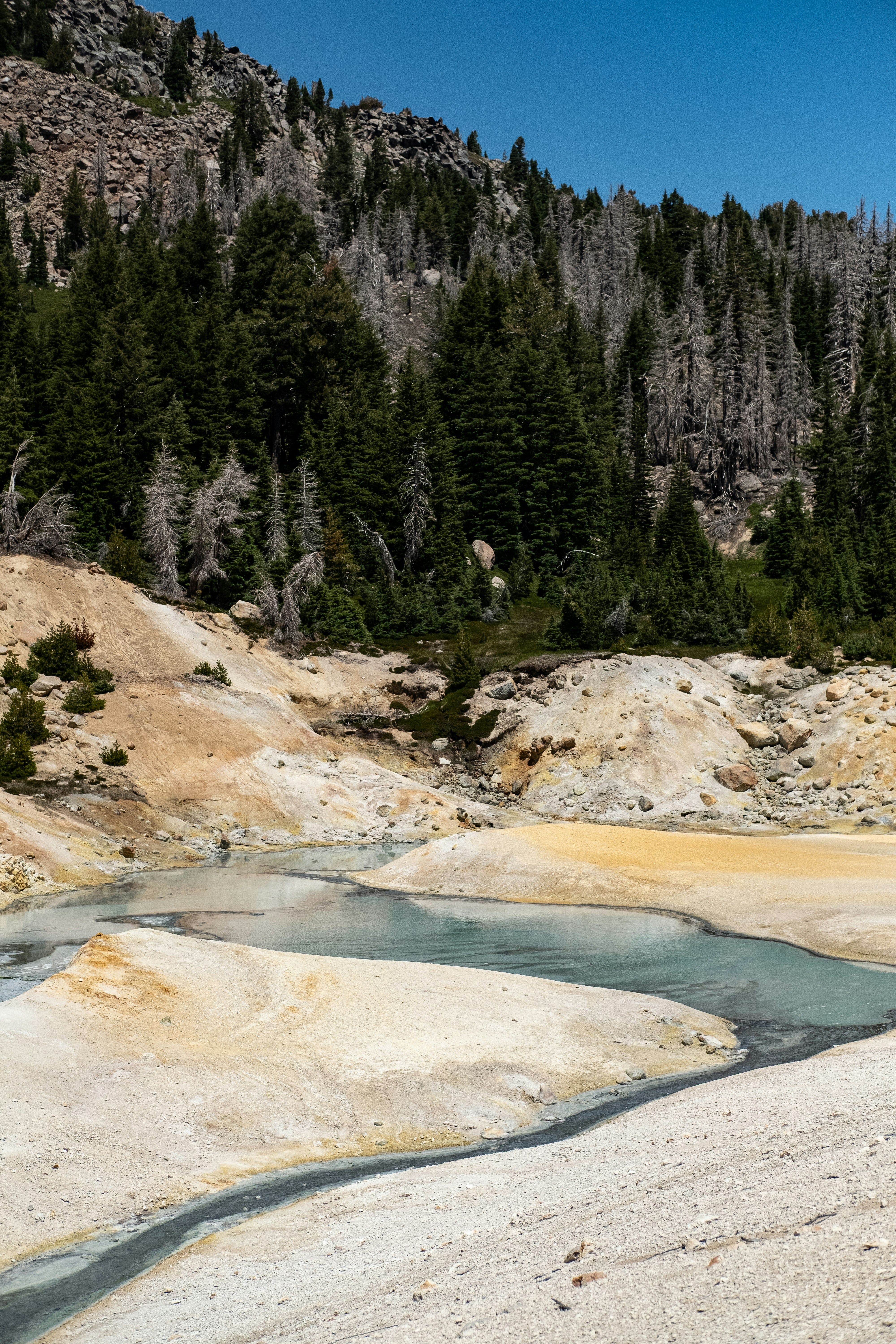 Thermal terraces and pine forest under a blue alpine sky
