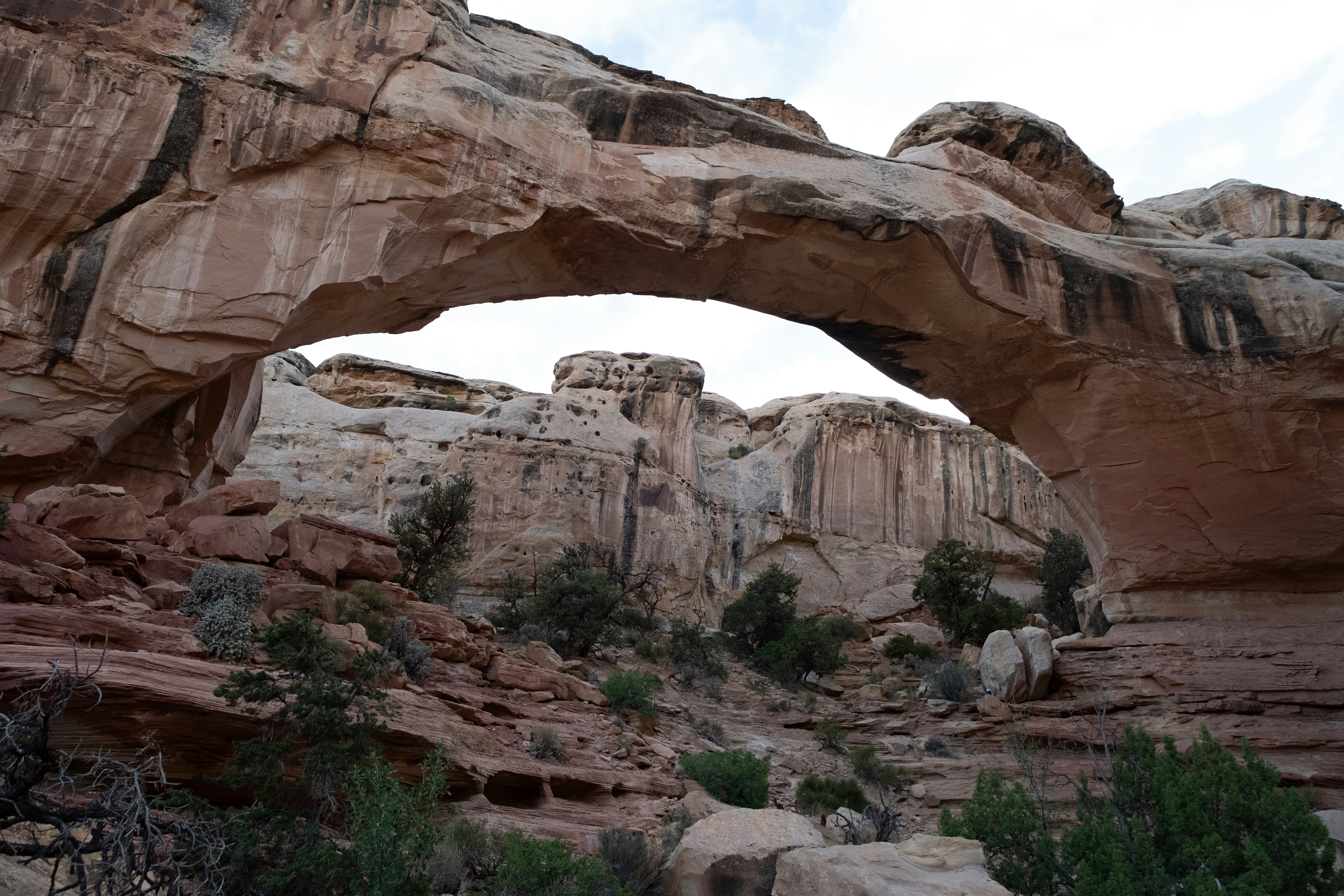Natural Stone Arch Frame: Desert Landscape Through a Ragged Arch