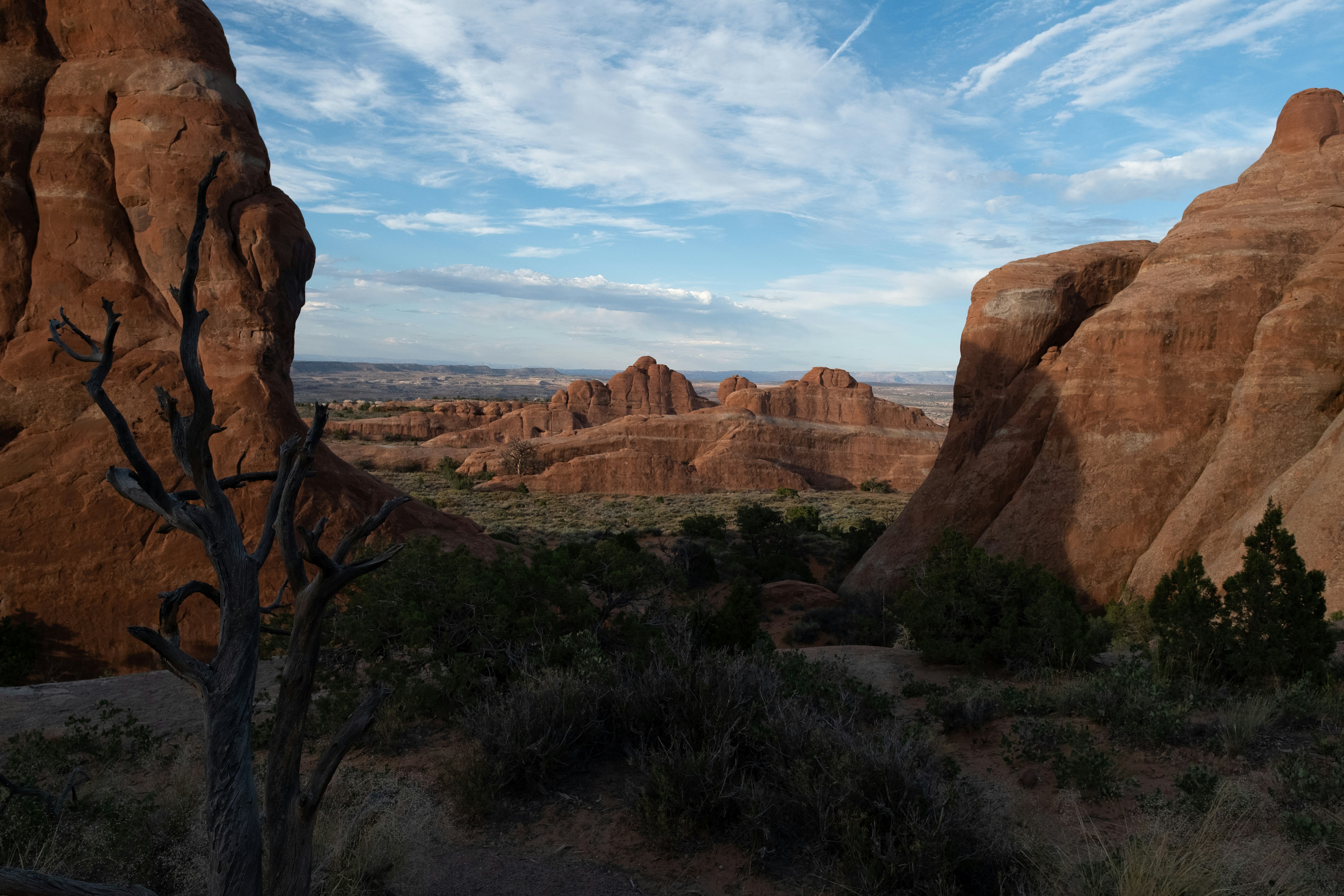 Desert Echoes: Red Rock Formations Framed by Sparse Foreground