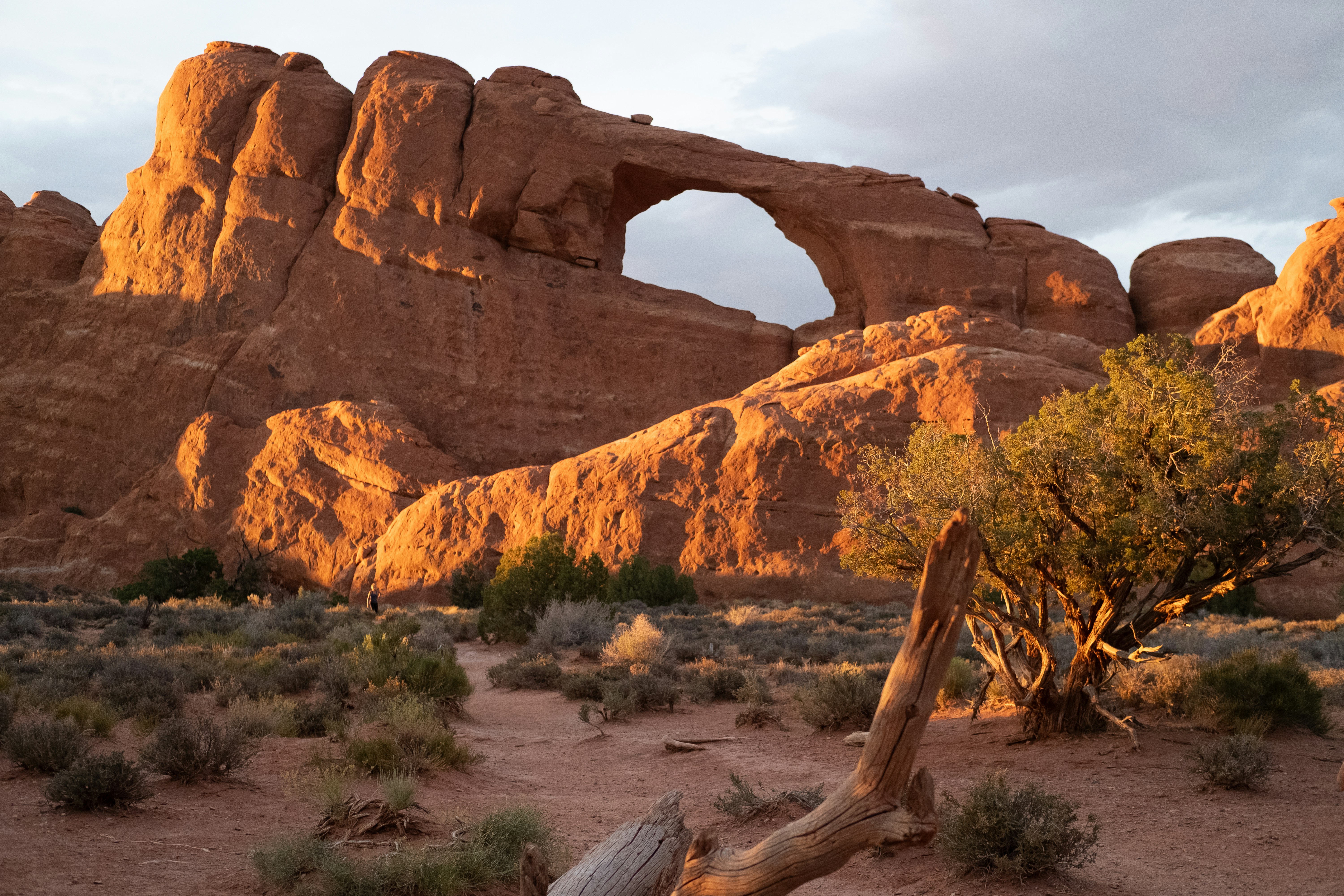 Desert Arch in Golden Hour Light