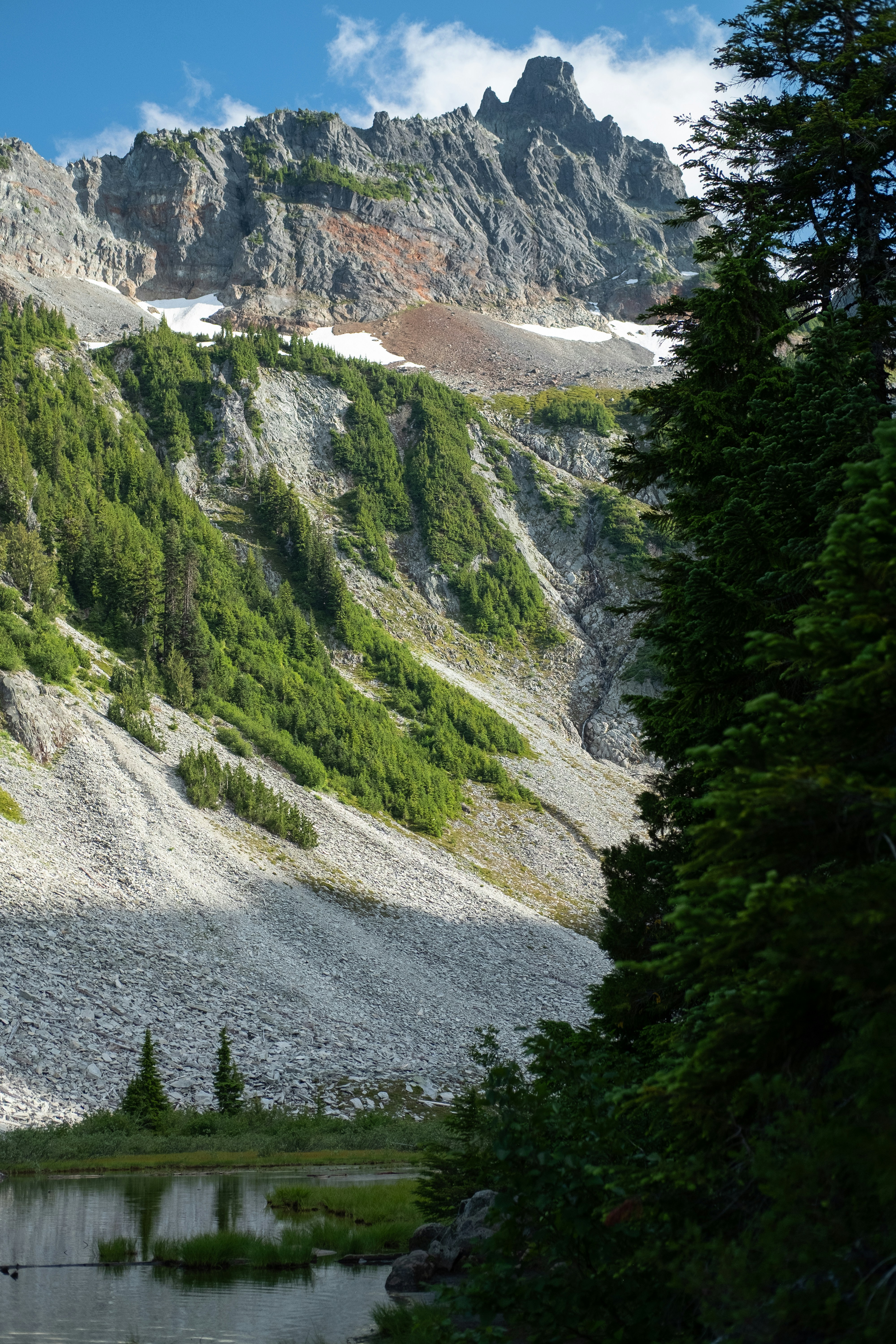 Rugged Peakscape: Forested Slopes and Snow-Trace Ridges