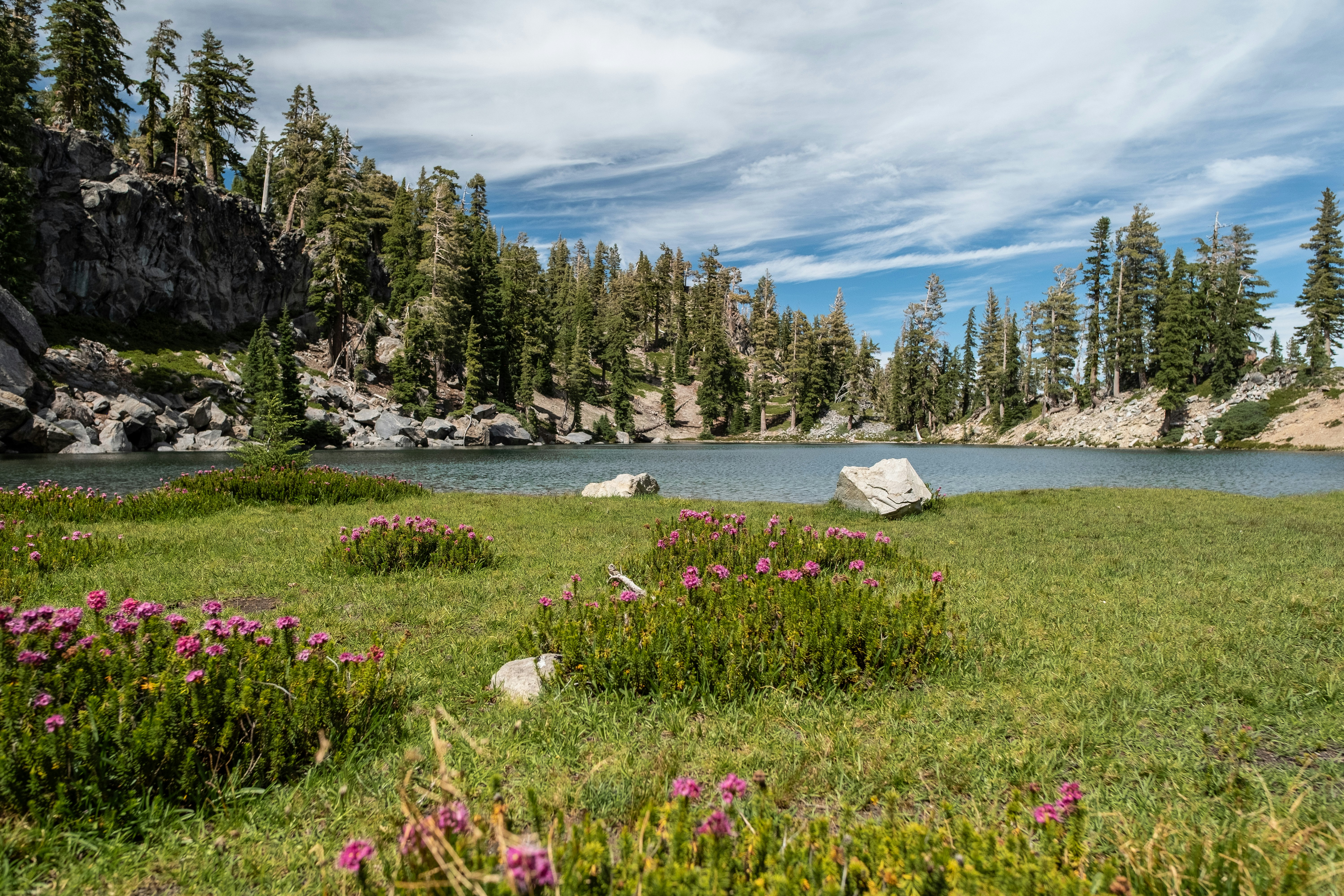 Azure Lake, Alpine Meadow in Bloom