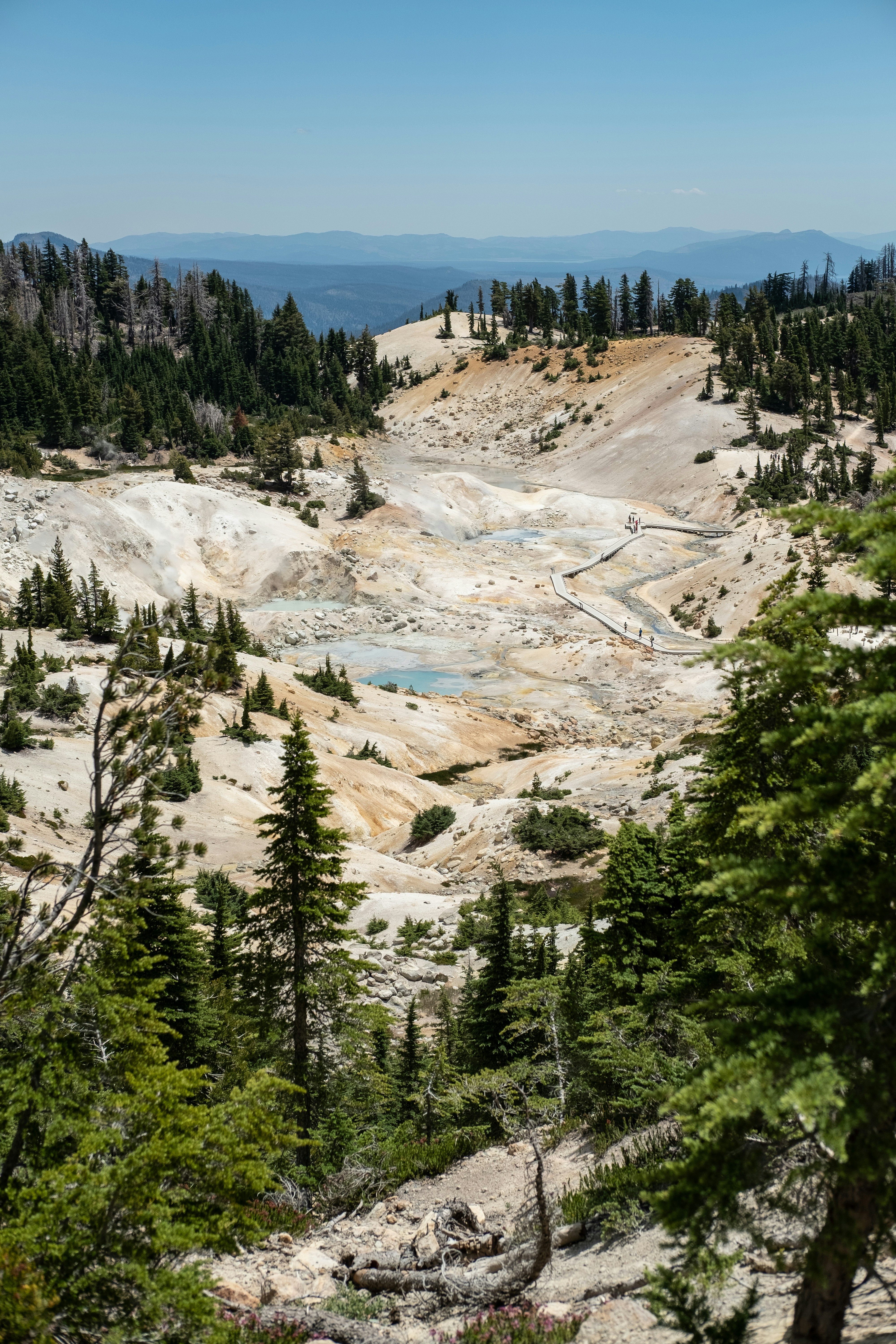 Thermal Basin Overlook: Conifer Veil and Mineral Terraces