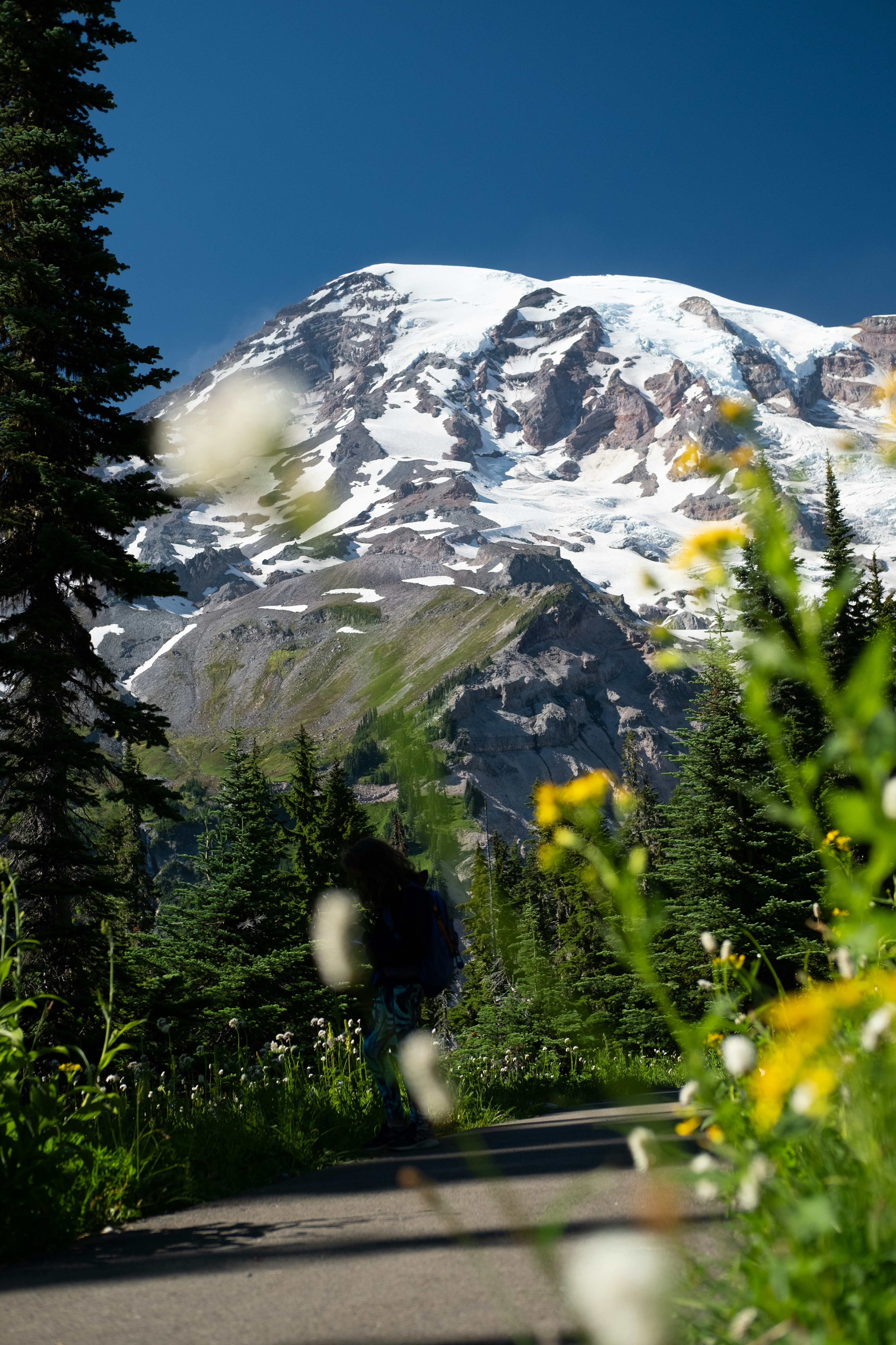 Trail to the Snow Crown
