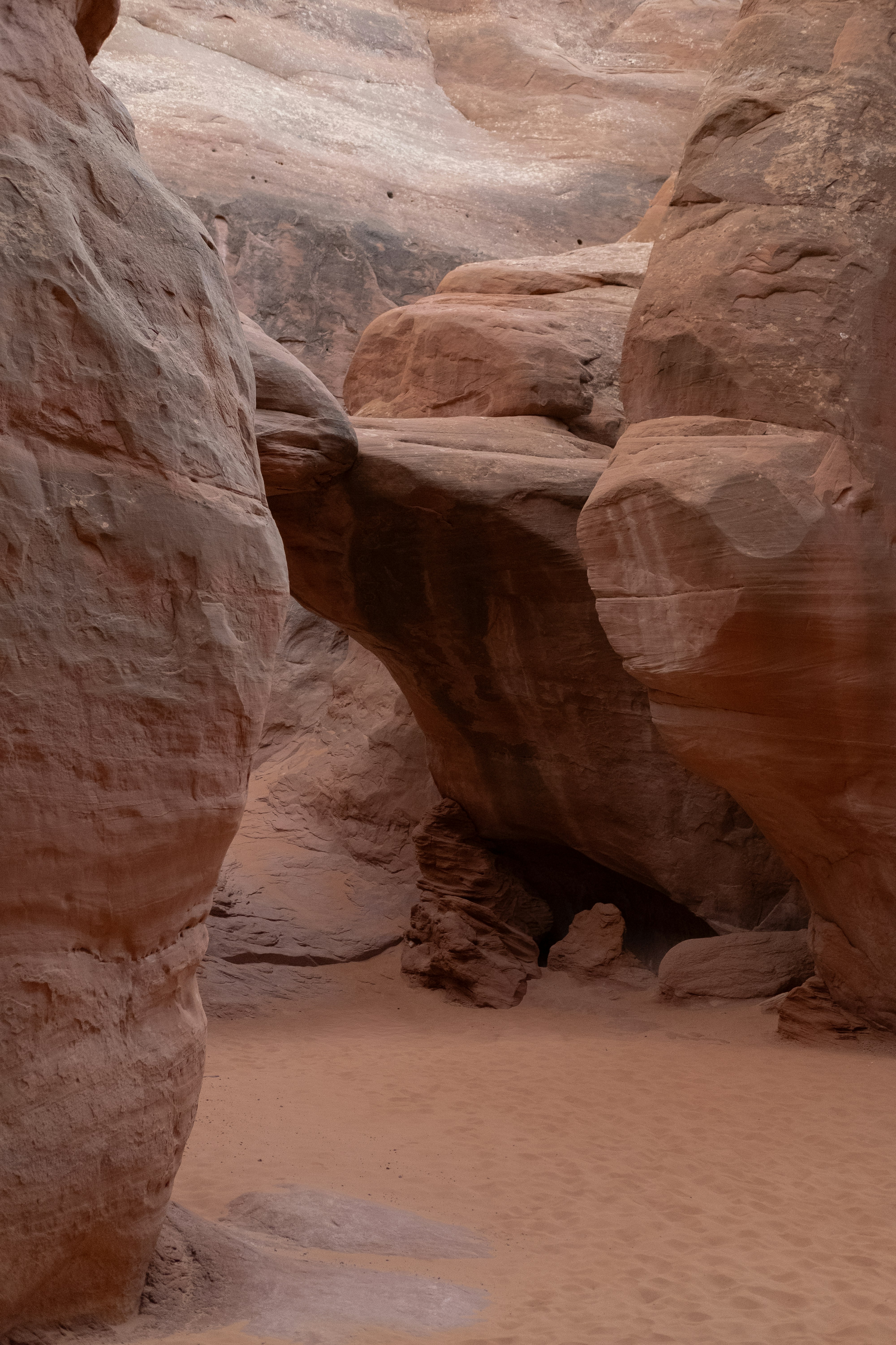 Echoes of Red Canyon: Sand and Stone Between Quiet Giants