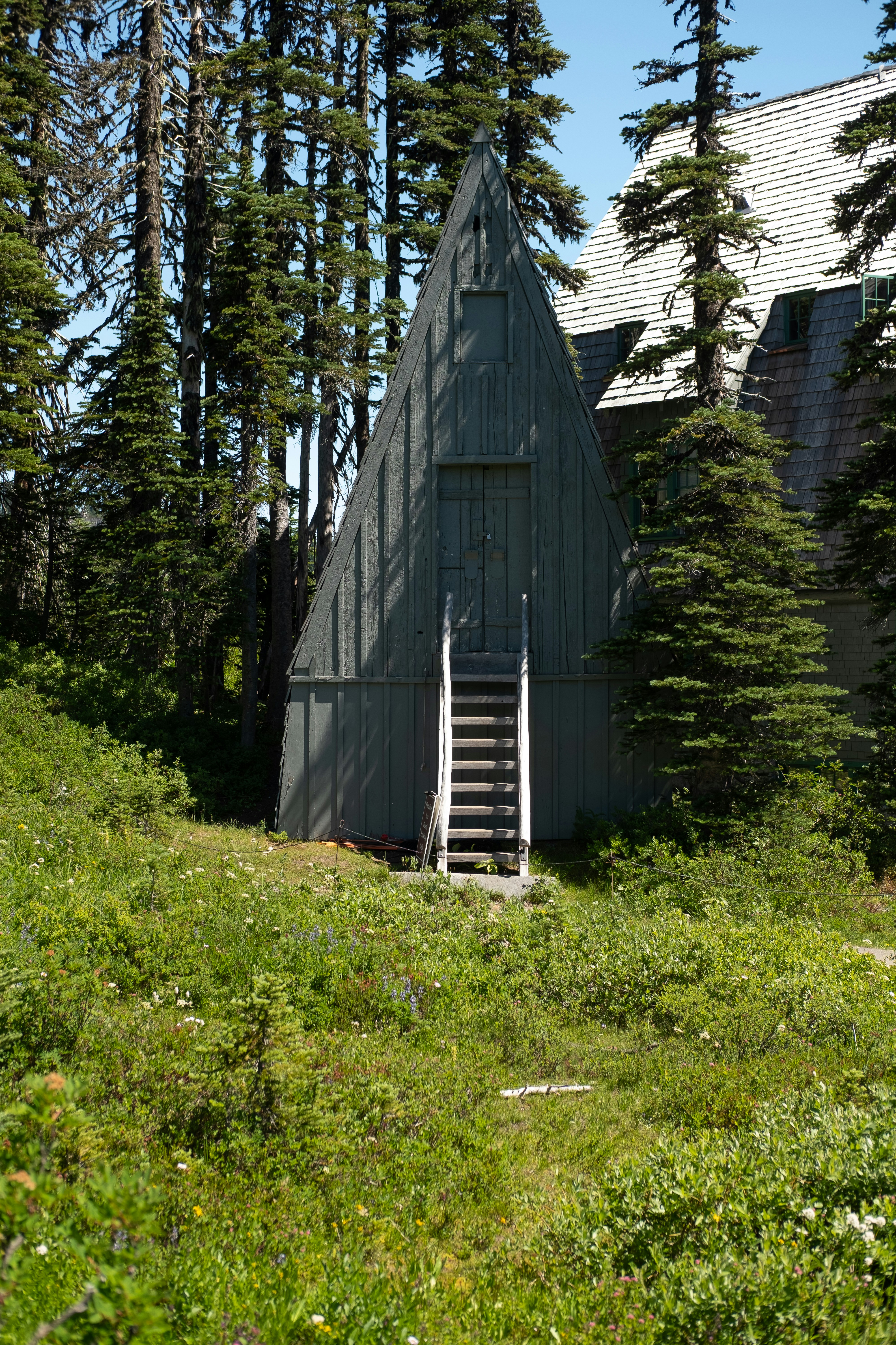 A-frame Shelter Quiet in a Pine Meadow