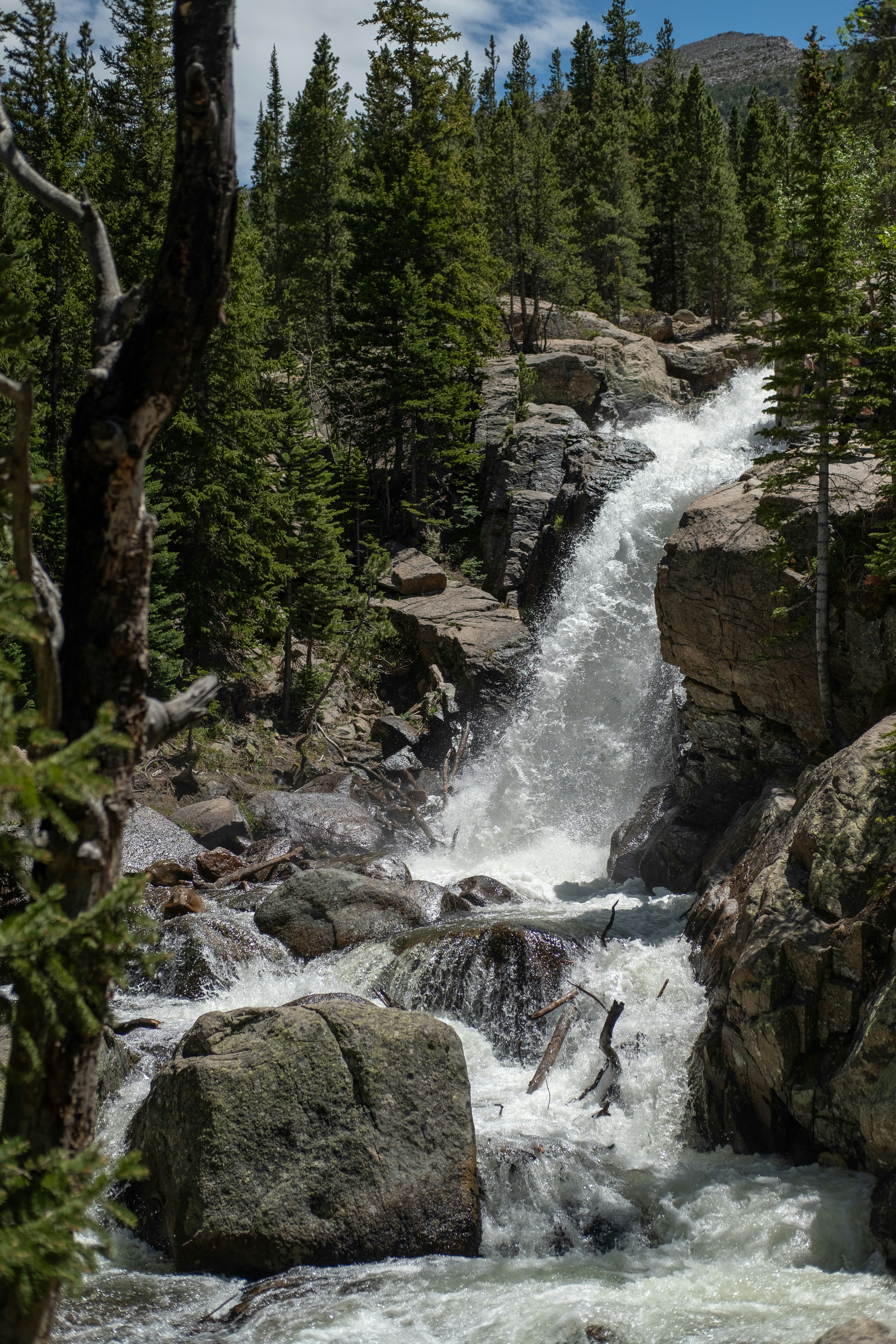 Cascading Cascade Through Pine Canyon