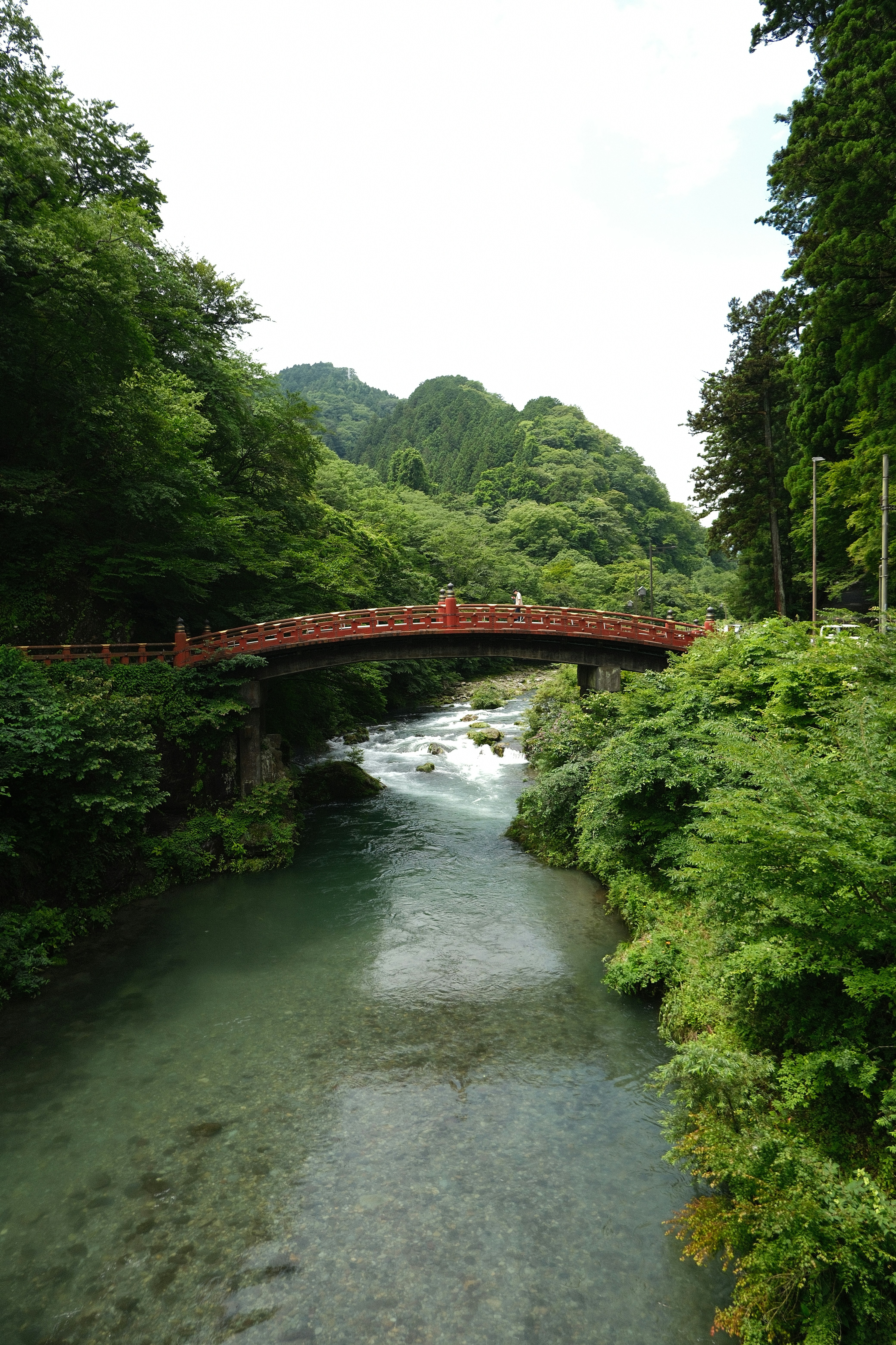 Red-Arched Bridge Crossing a Fern-Lined River Valley
