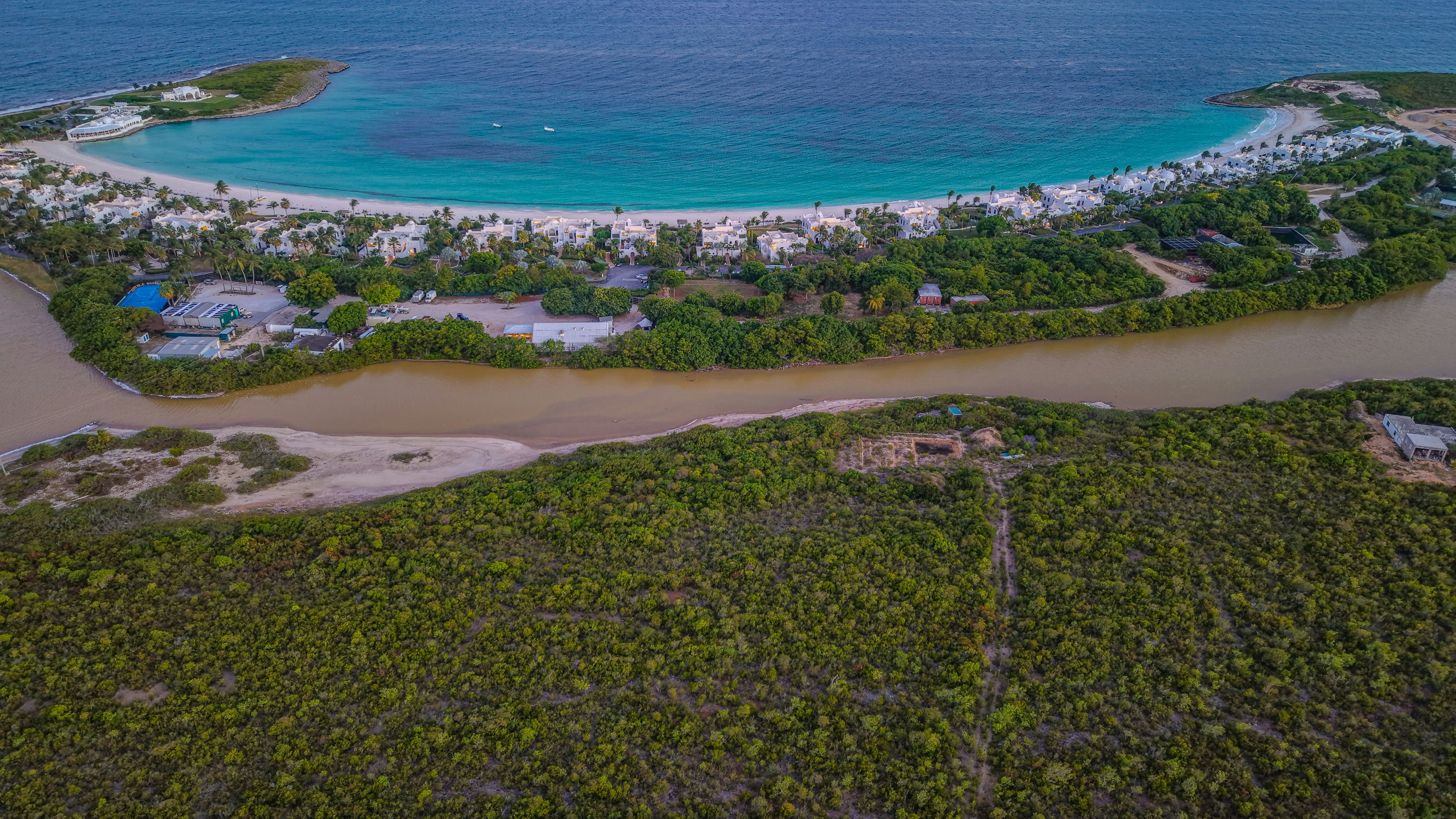 Curved Beach Crescent: A Coastal Resort Fringed by Mangroves