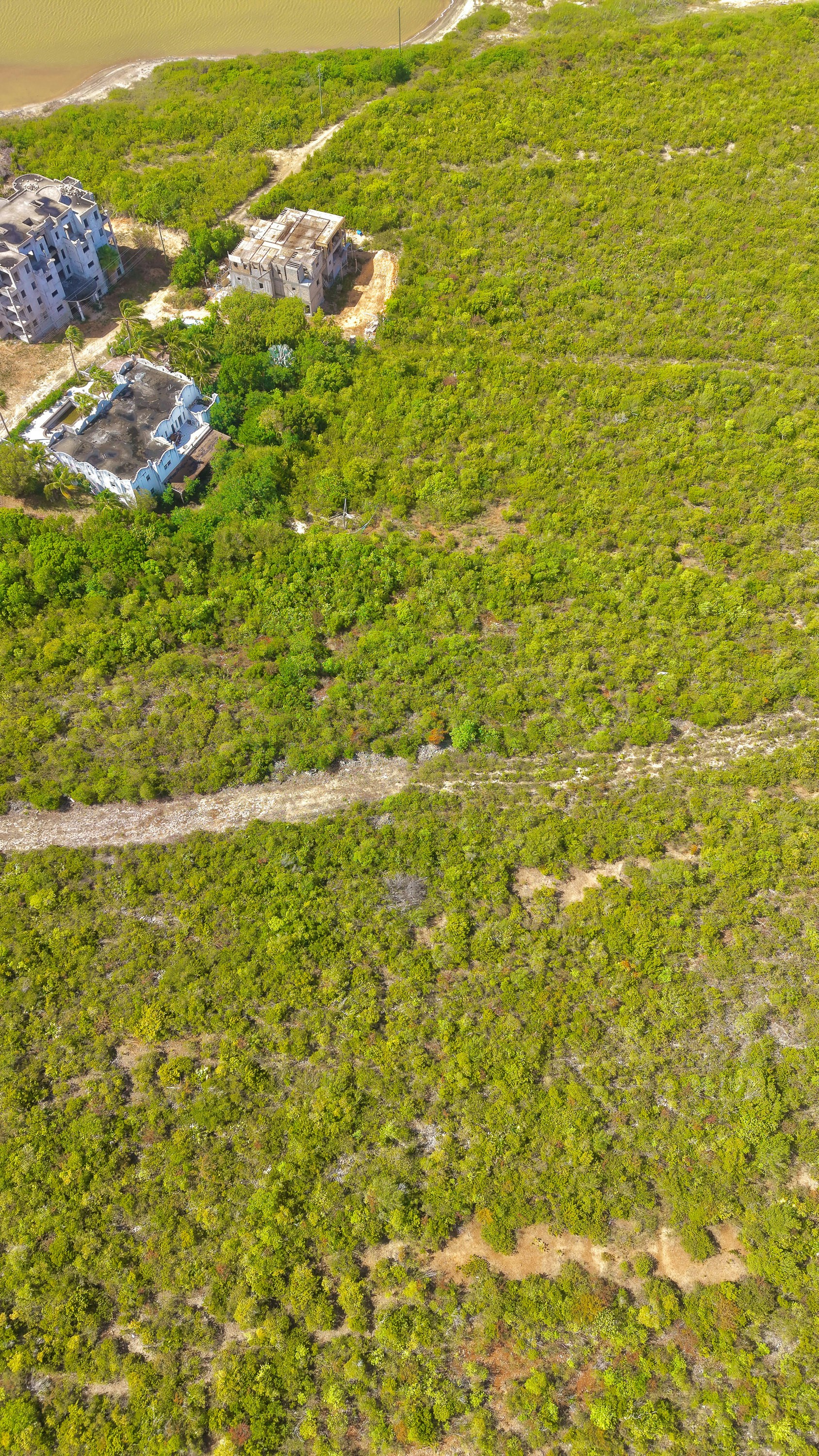 Abandoned cluster of buildings tucked into a coastal scrub