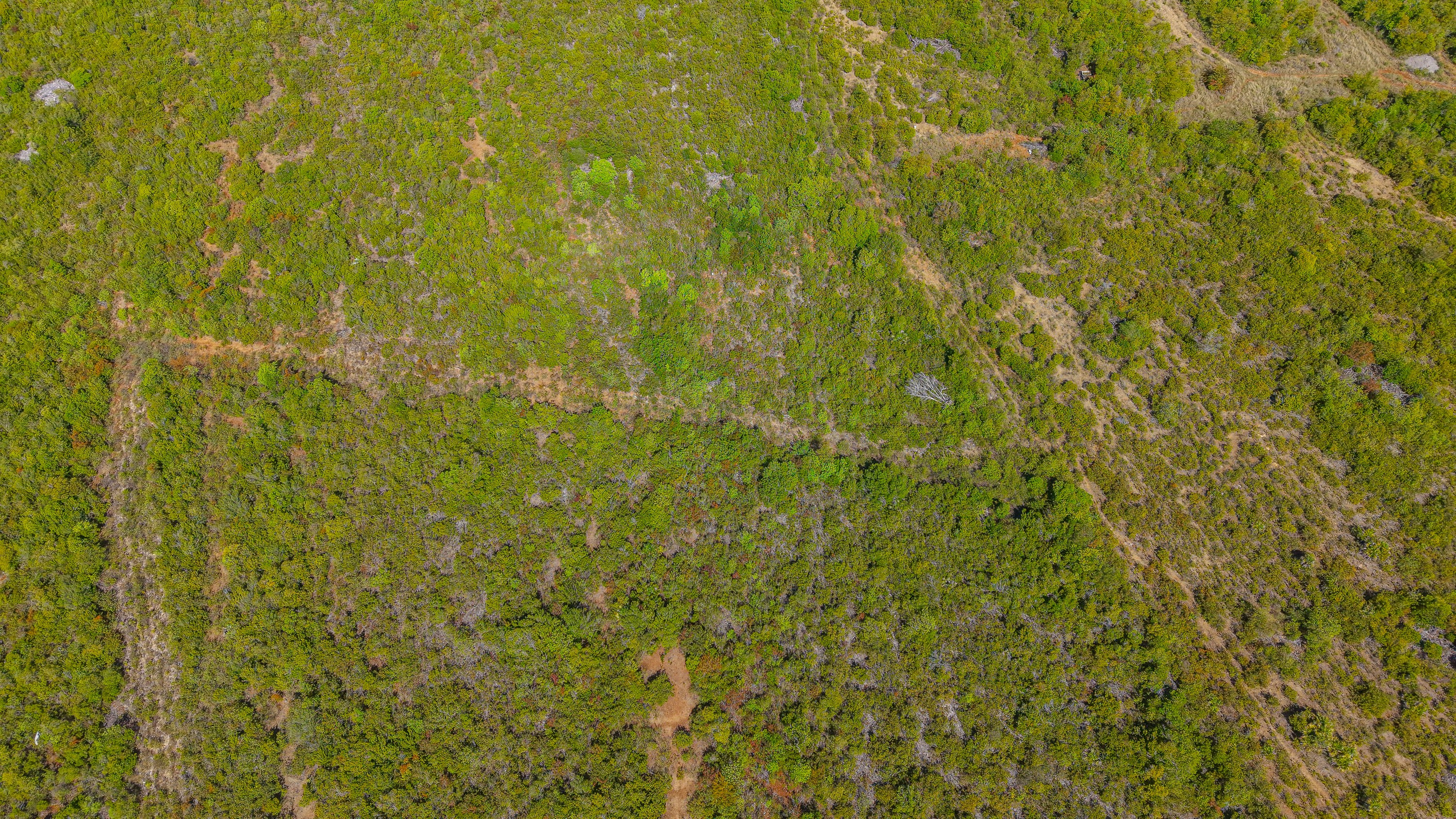 Green Ridgelines: Aerial Patchwork Across Sloped Terrain