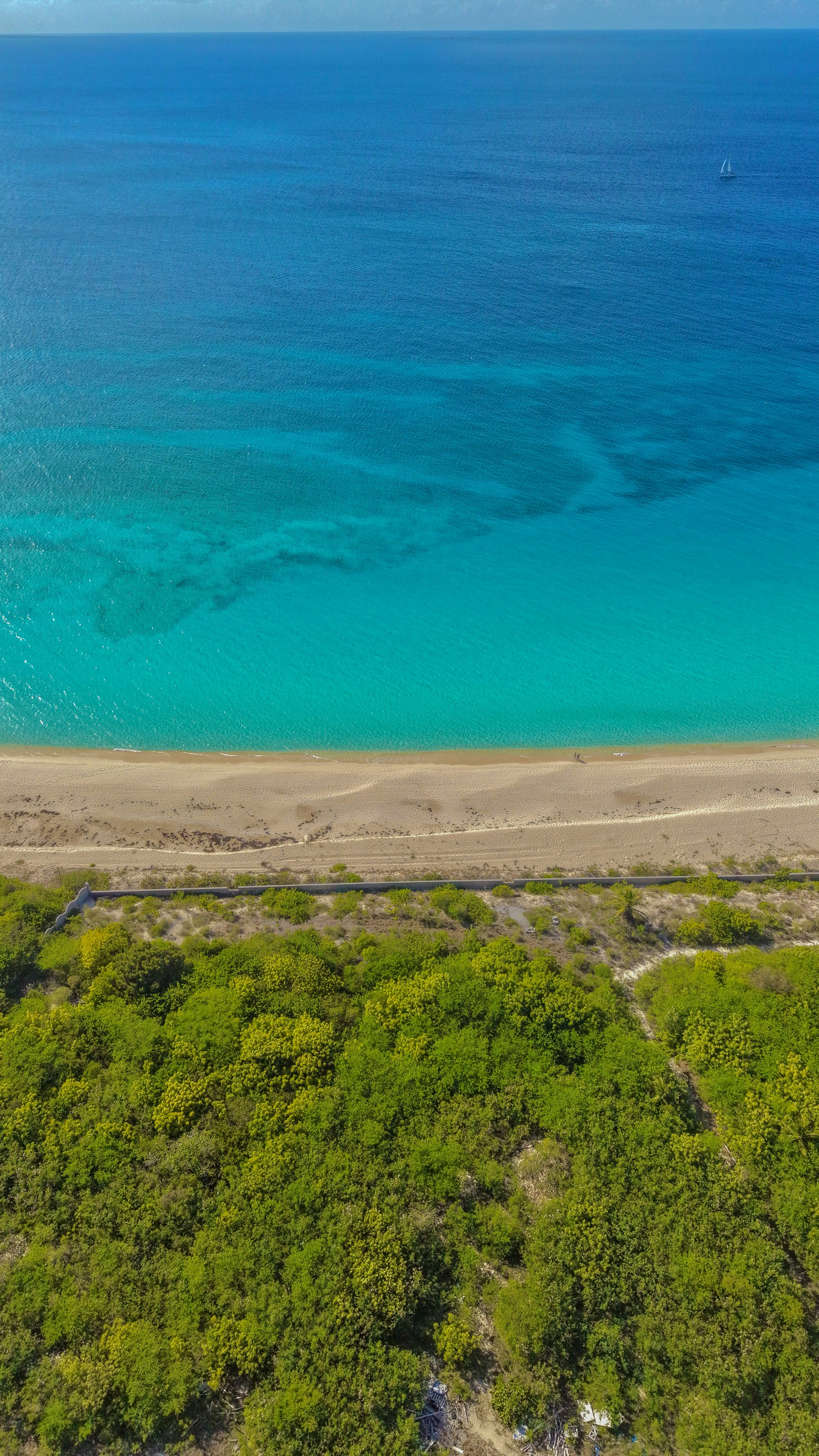 Turquoise Shoreline: Aerial Vista of Beach, Dunes, and Verdant Barrier