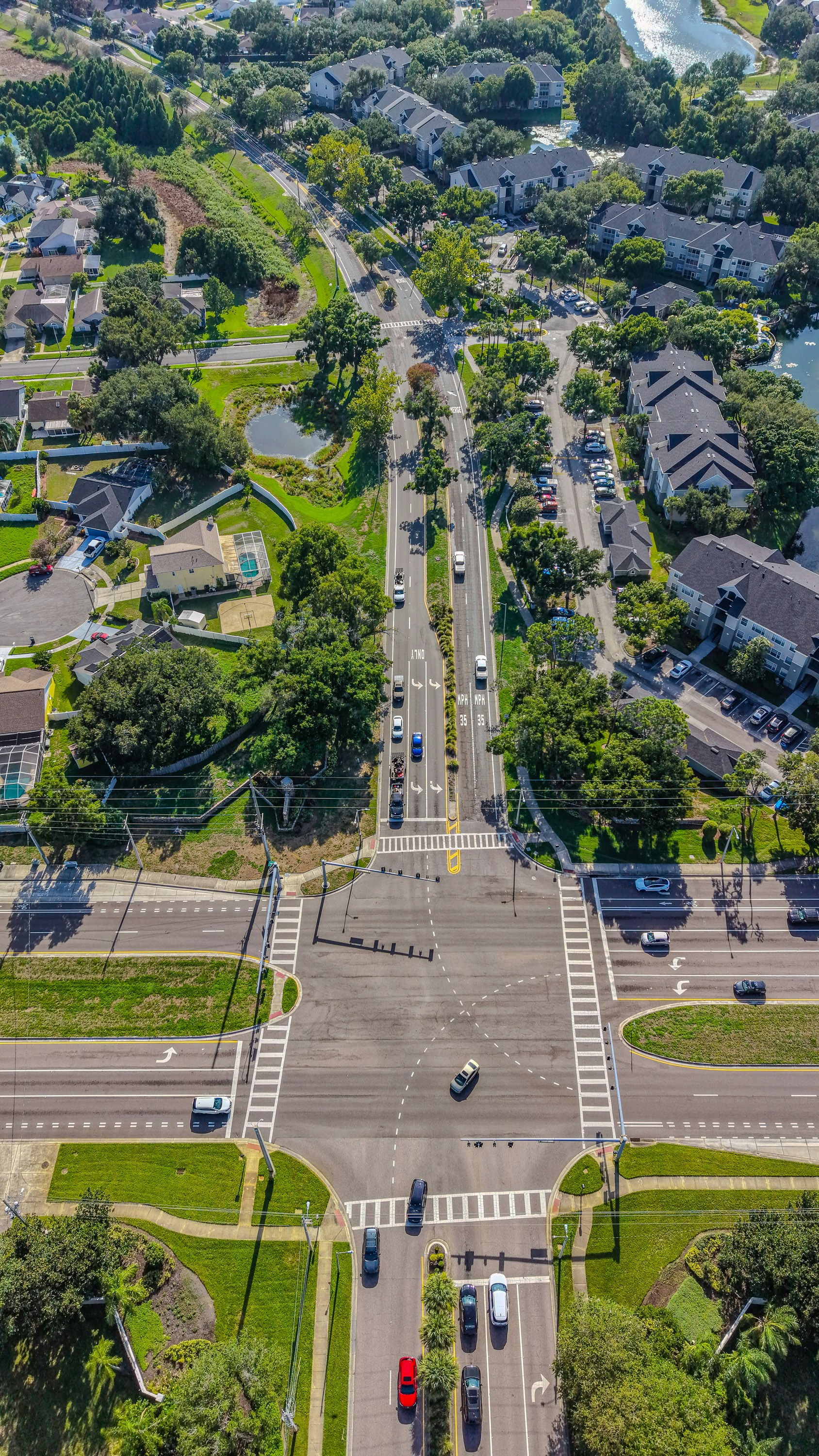 Aerial Crossroads: Quiet Traffic Weaves Through Suburban Canopy