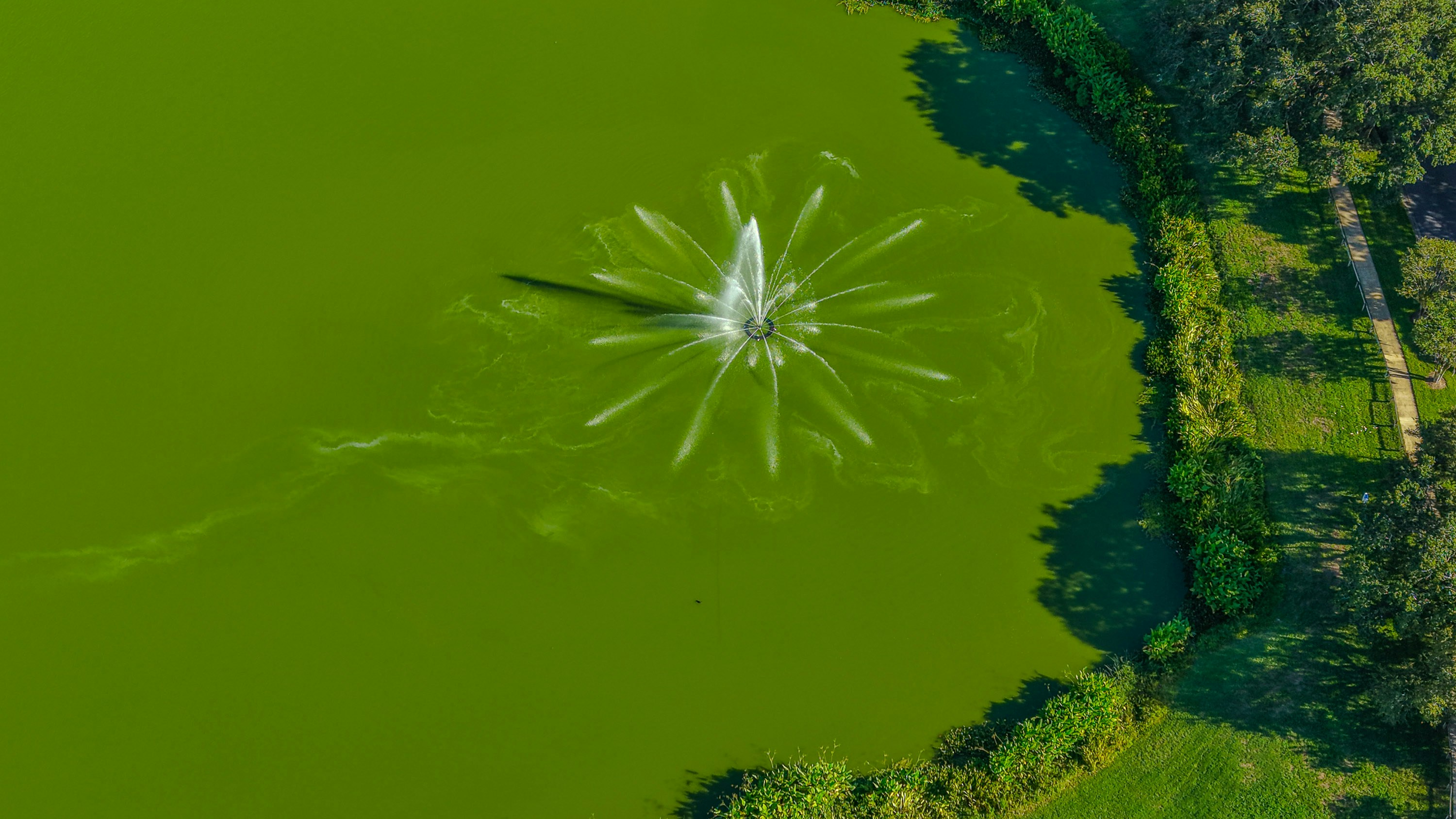 Photo by Chris Grant with DJI Mini 5 Pro
