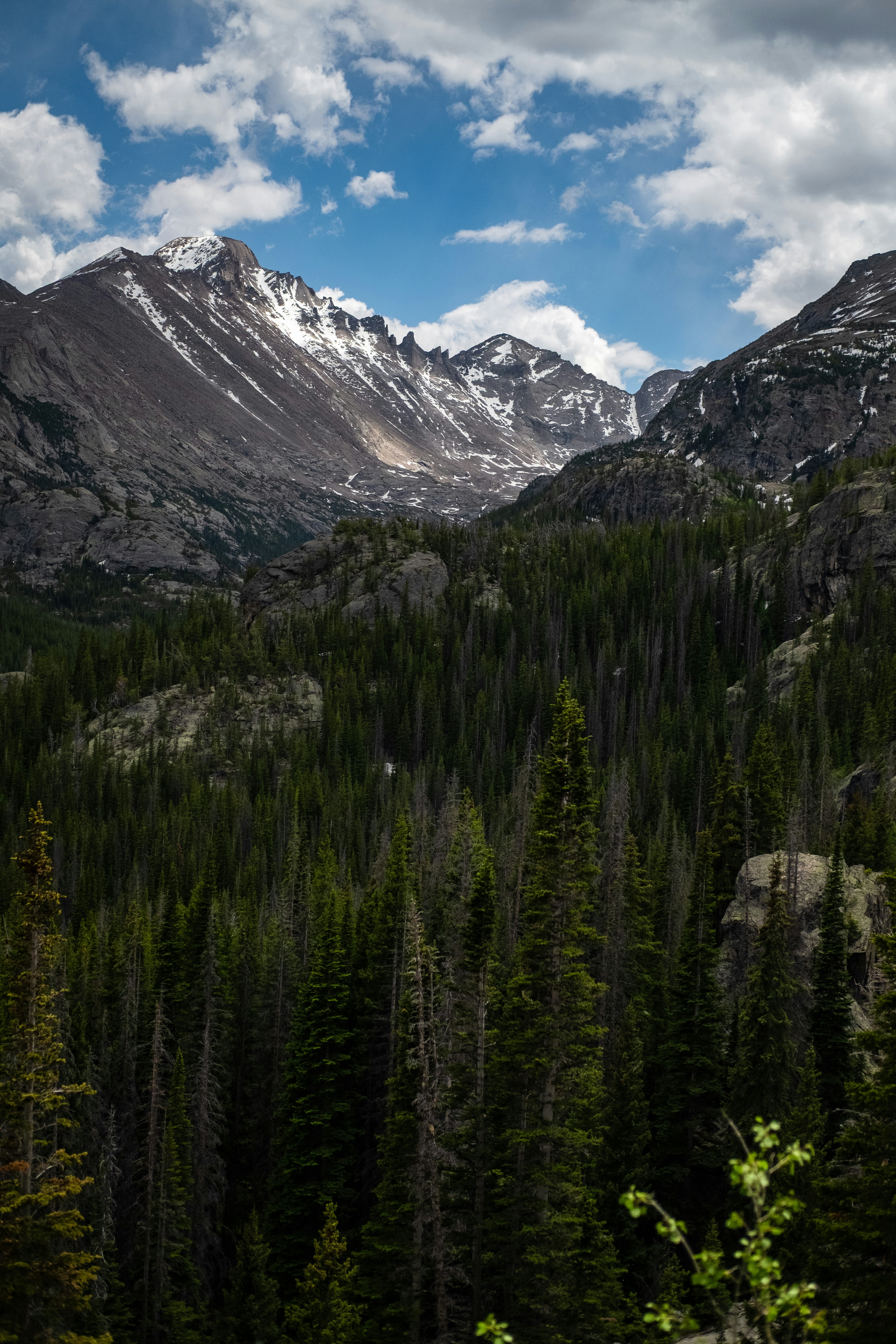 Peak Crown: Snow-kissed Summit Over a Conifer Valley