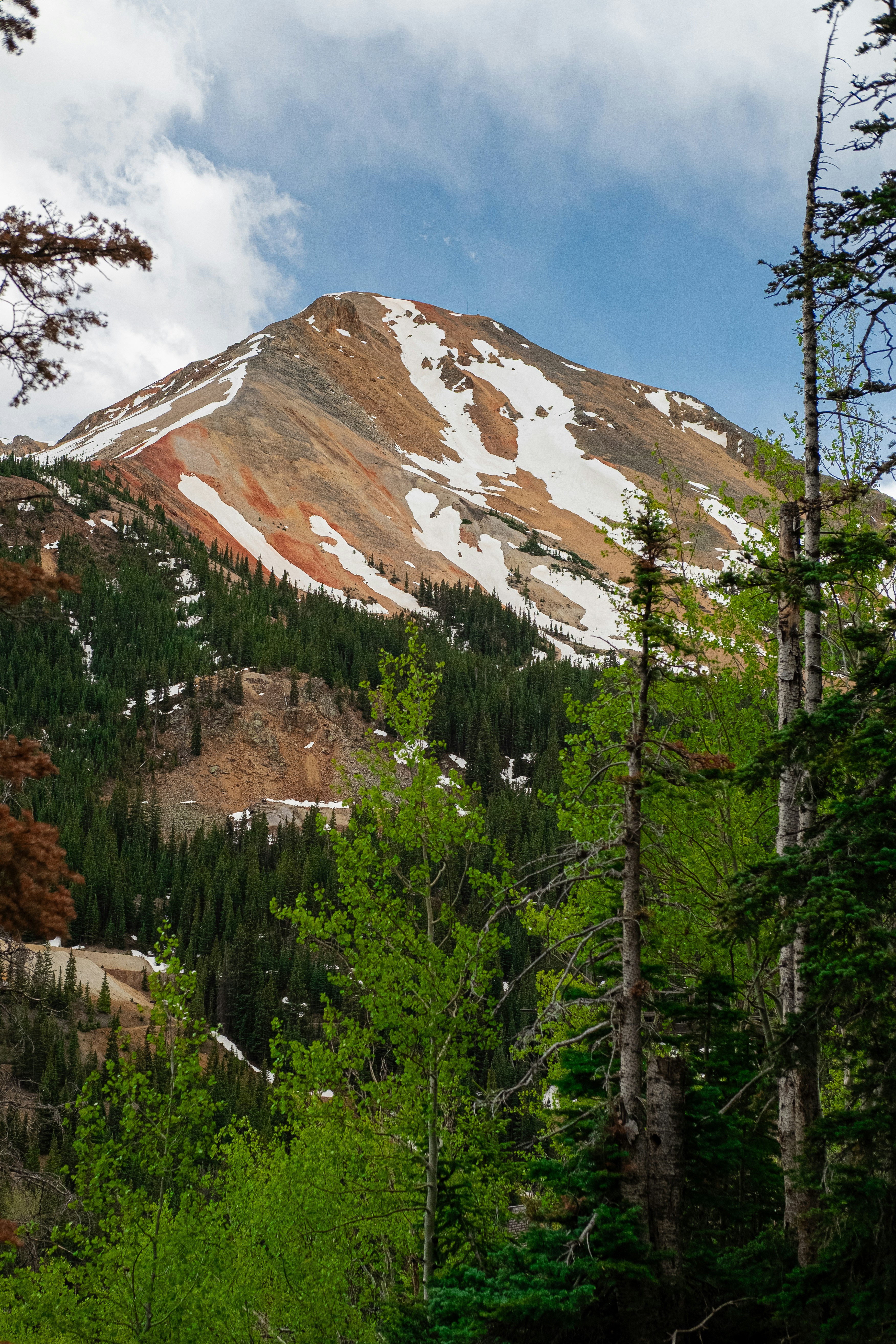 Snowlit Summit Emerges Over a Pine-Fringed Valley
