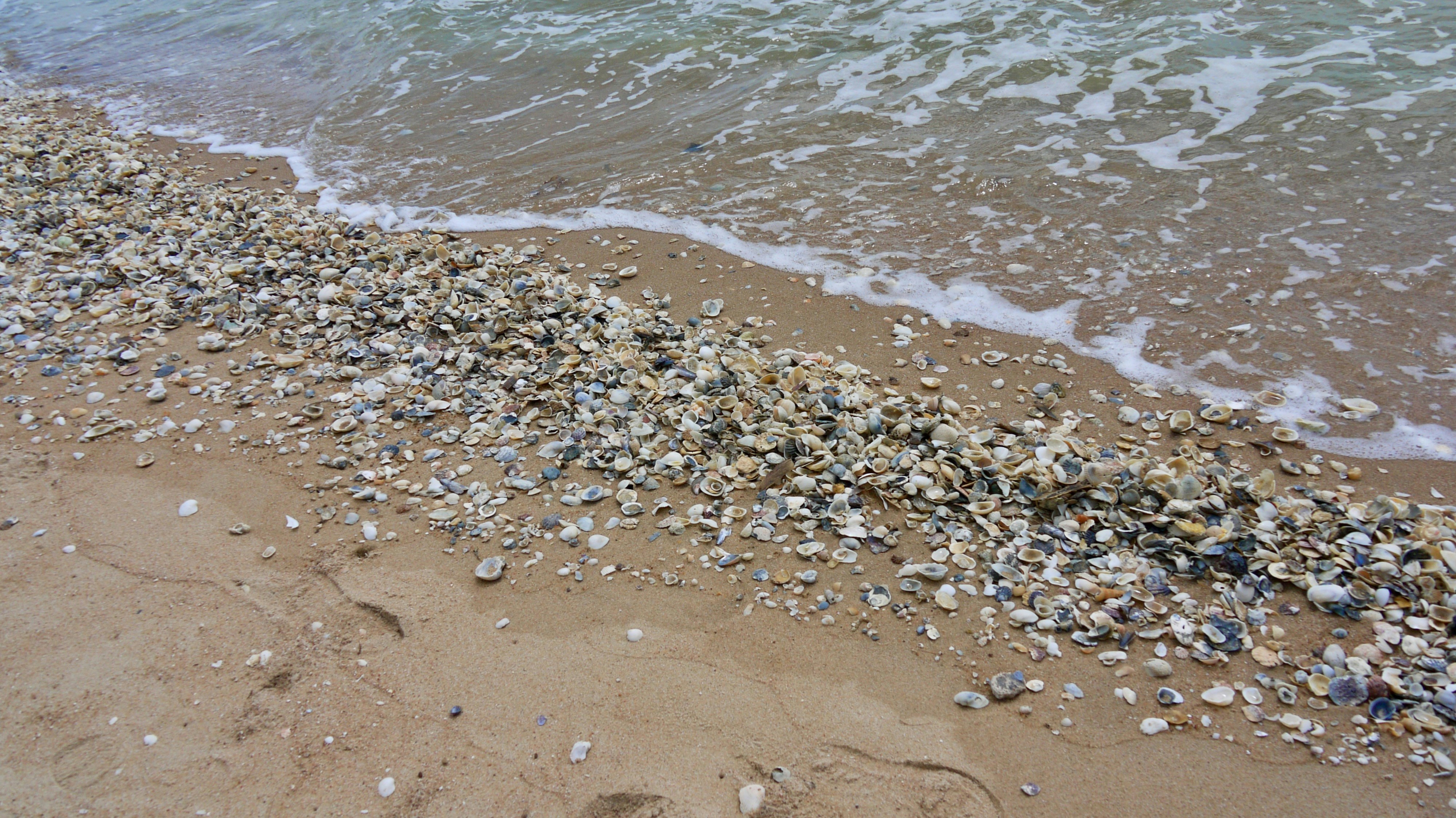 Pebble-strewn shoreline meeting gentle surf at the waterline