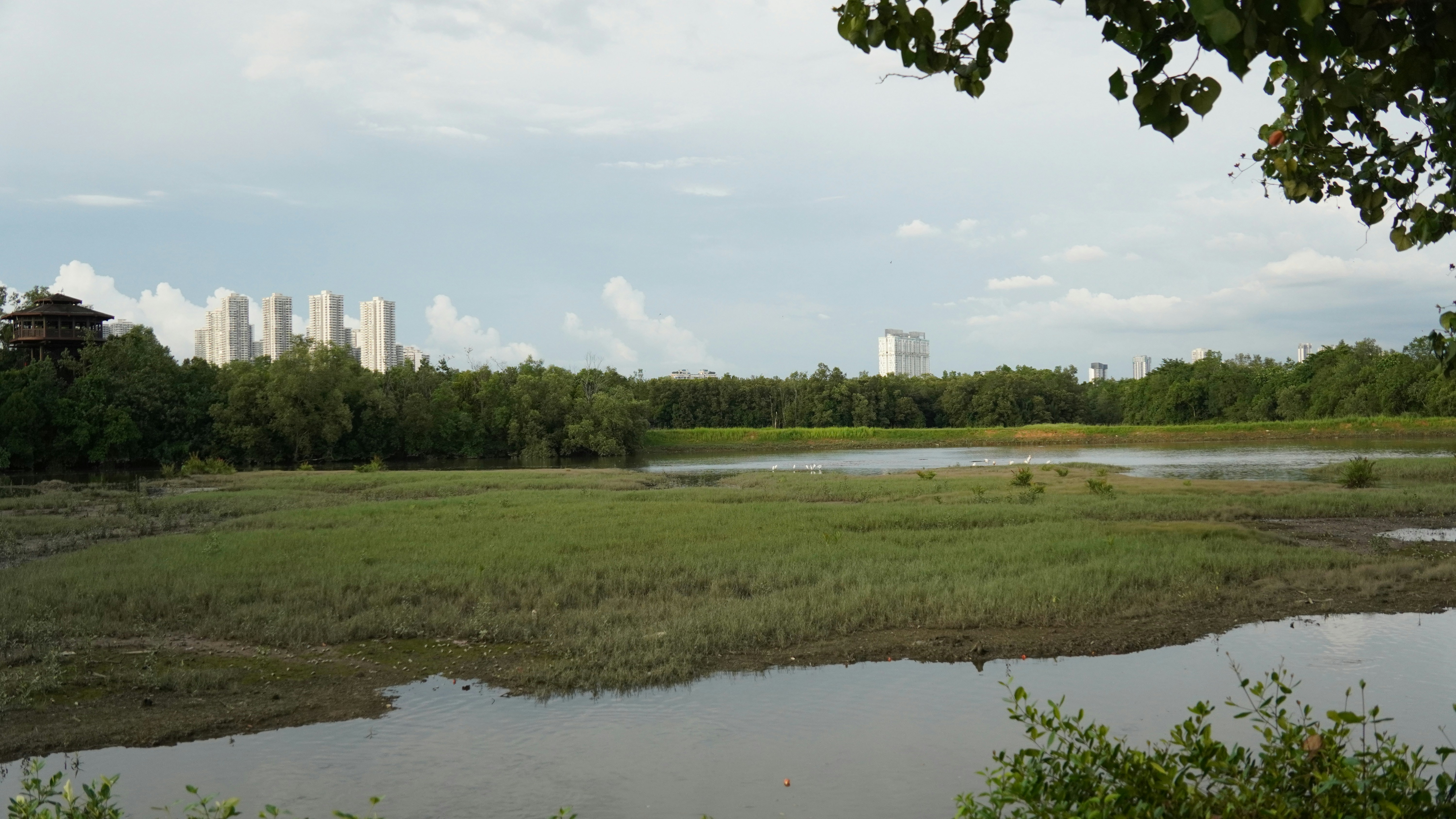 Urban Echoes Beyond the Wetland
