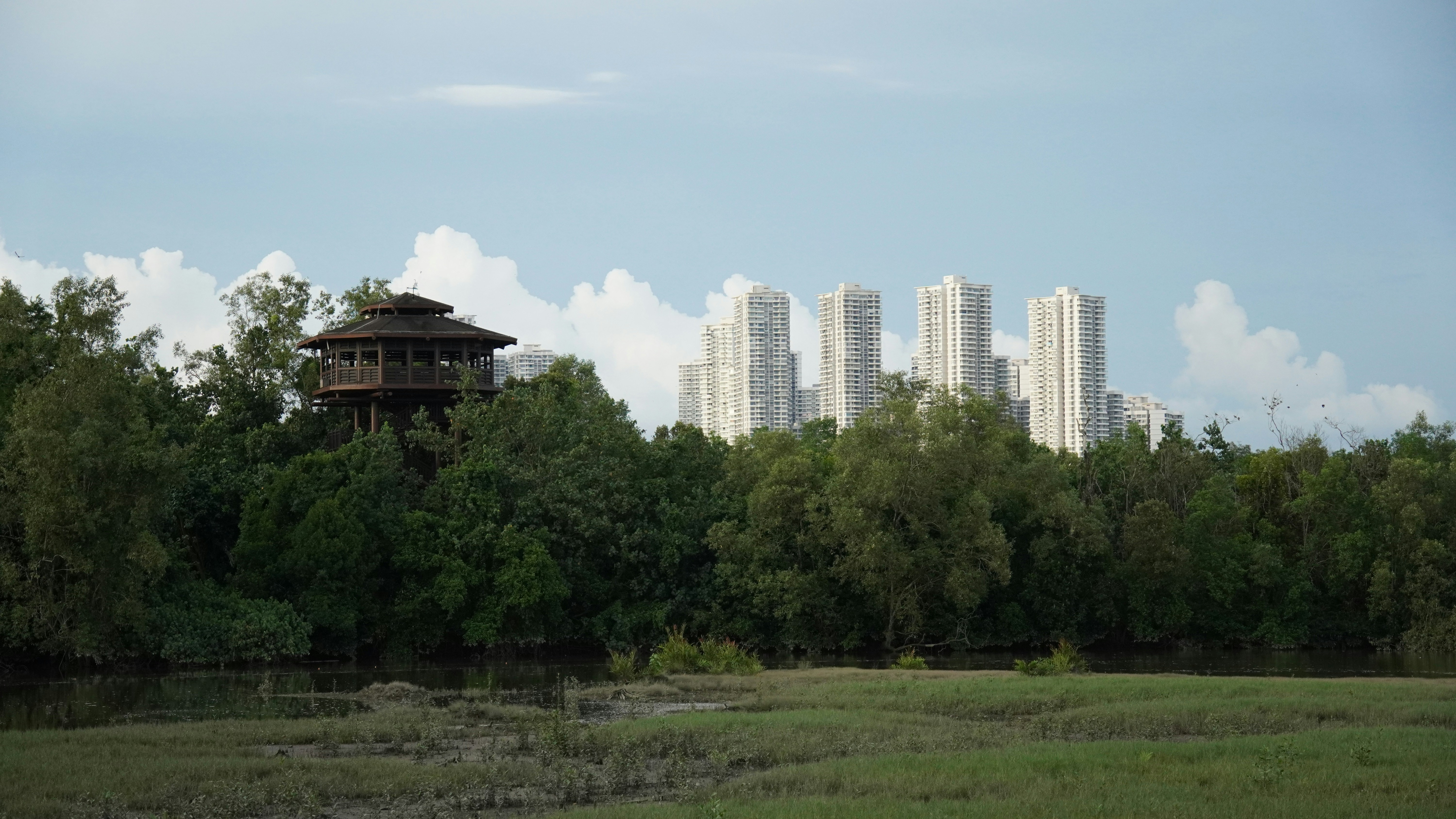 Urban Silhouette Beyond the Wetland