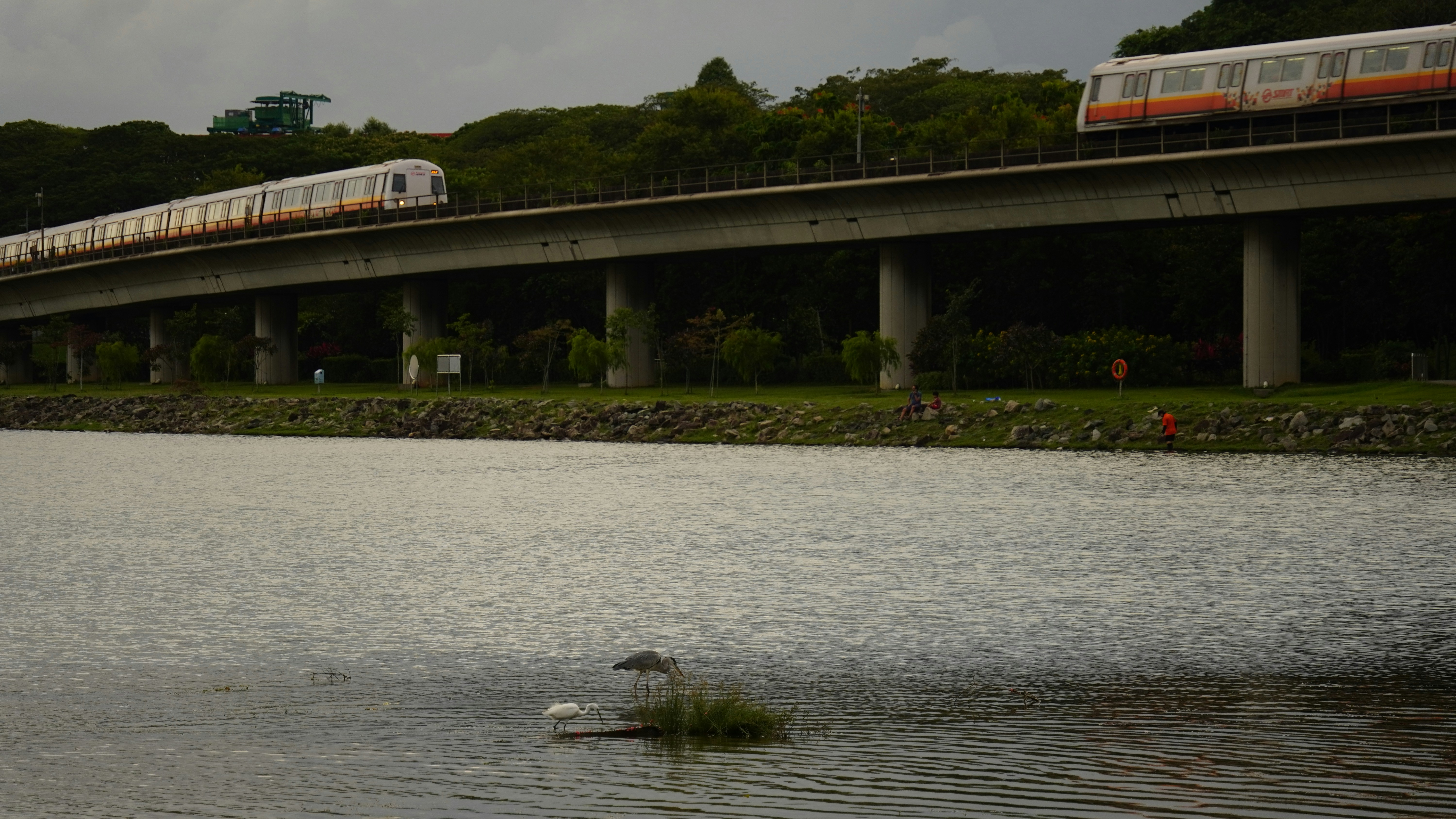 Train Across the River: Commuter Carriages Rushing Over the Bridge
