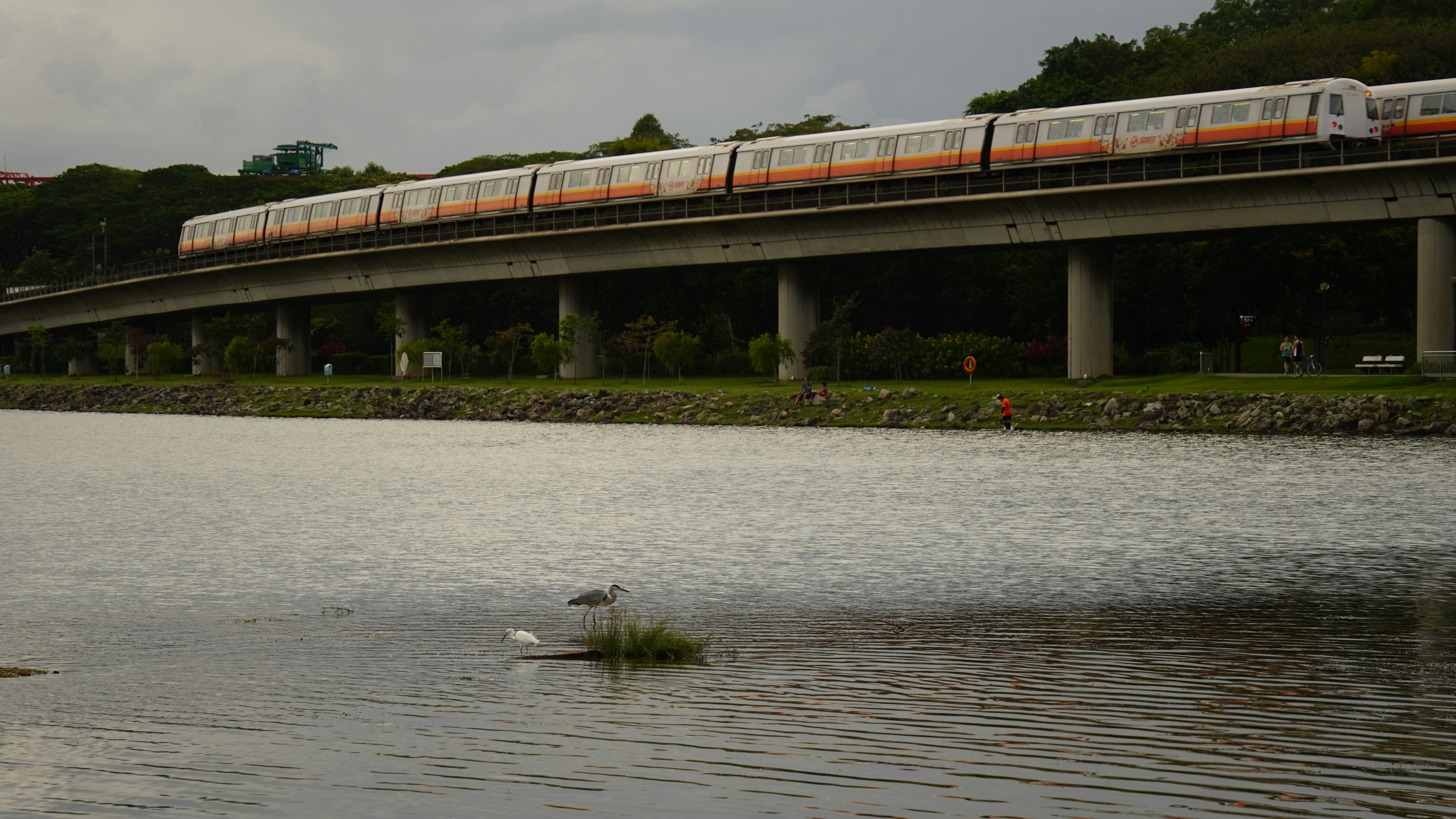 Orange-Trimmed Express Crossing the Railroad Arc