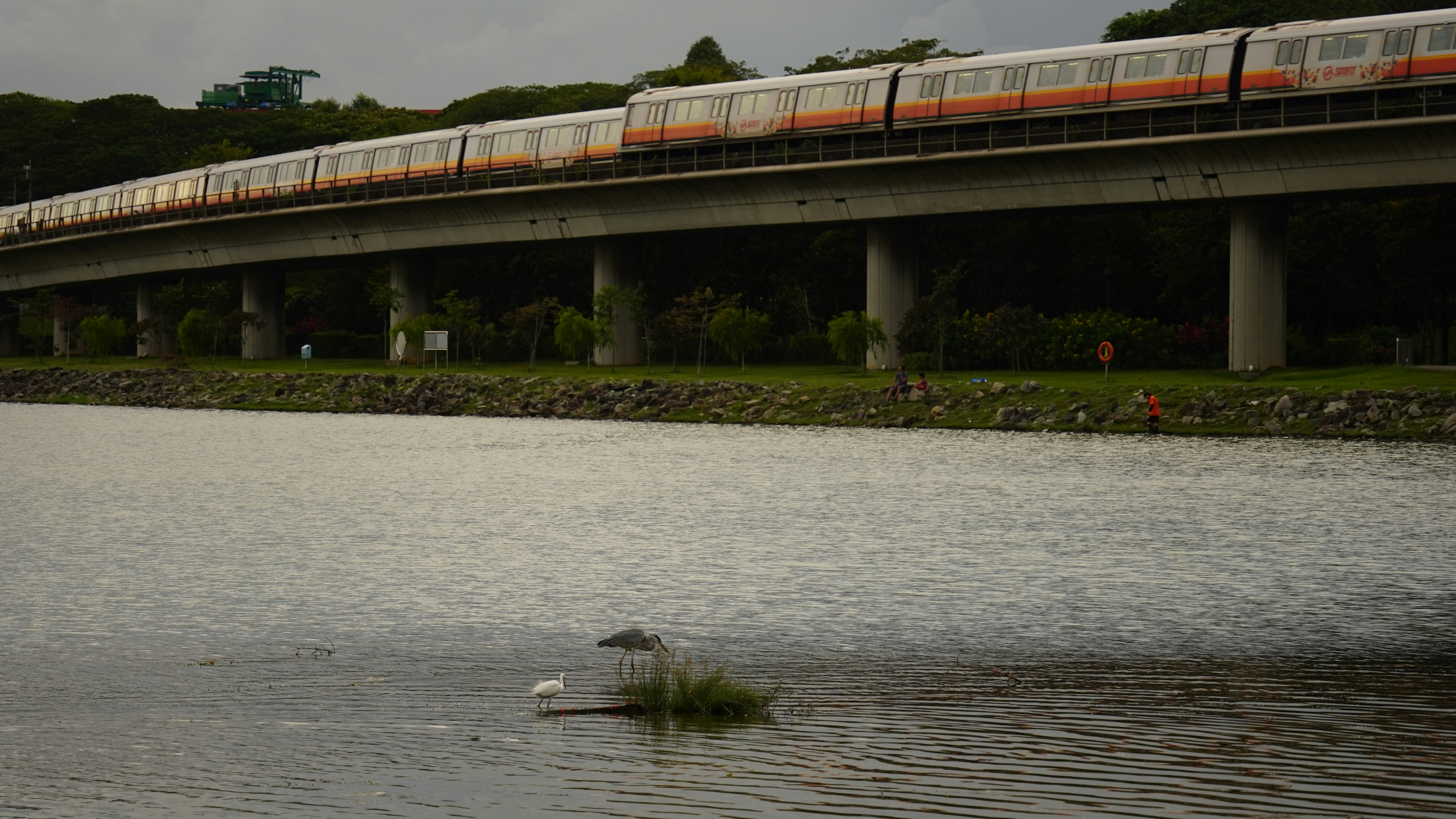 Long-Tracked Transit: a commuter train gliding over a riverbank