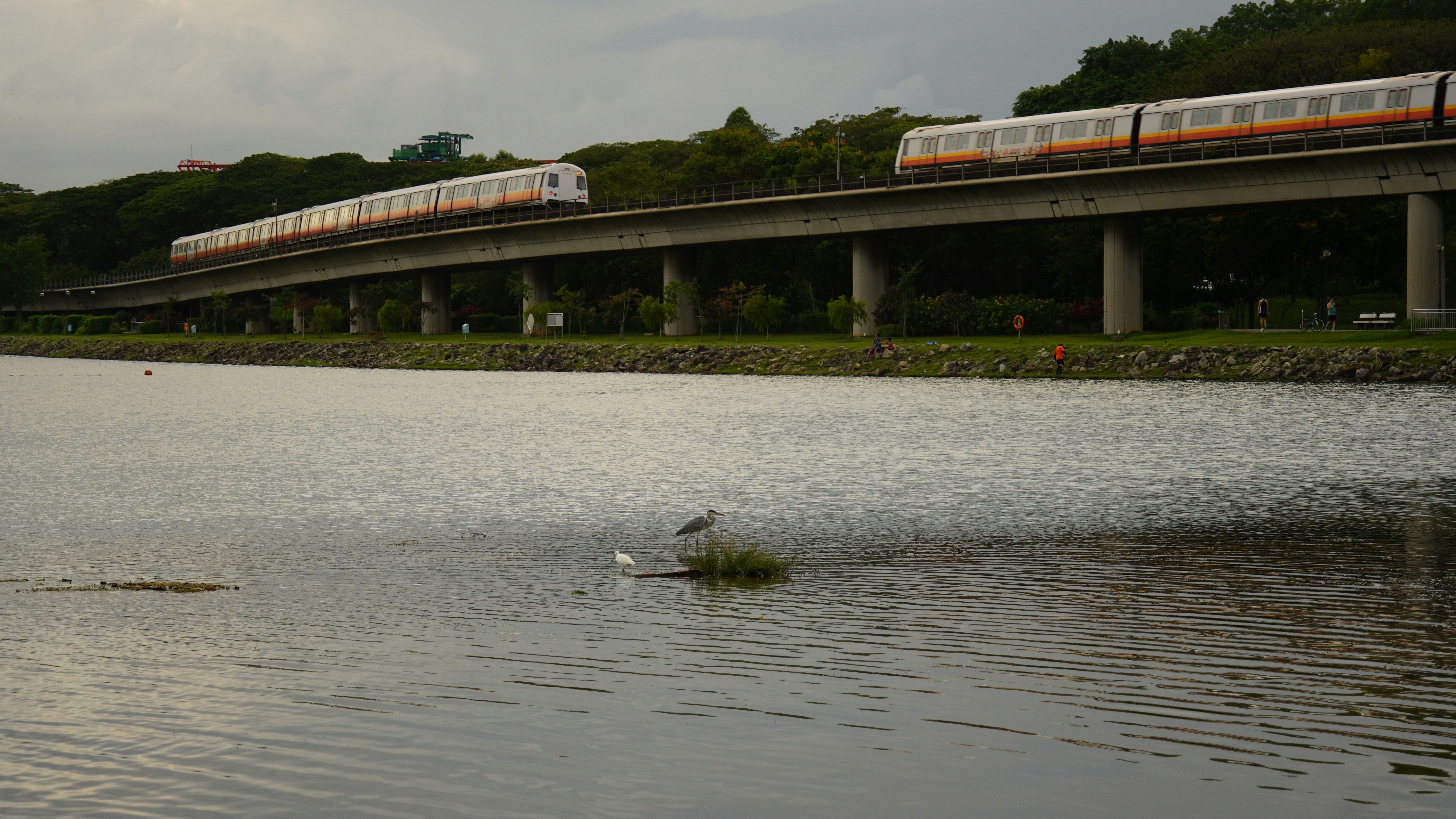 Train Over Lake: Quiet Rails Amid Wetland Scenery