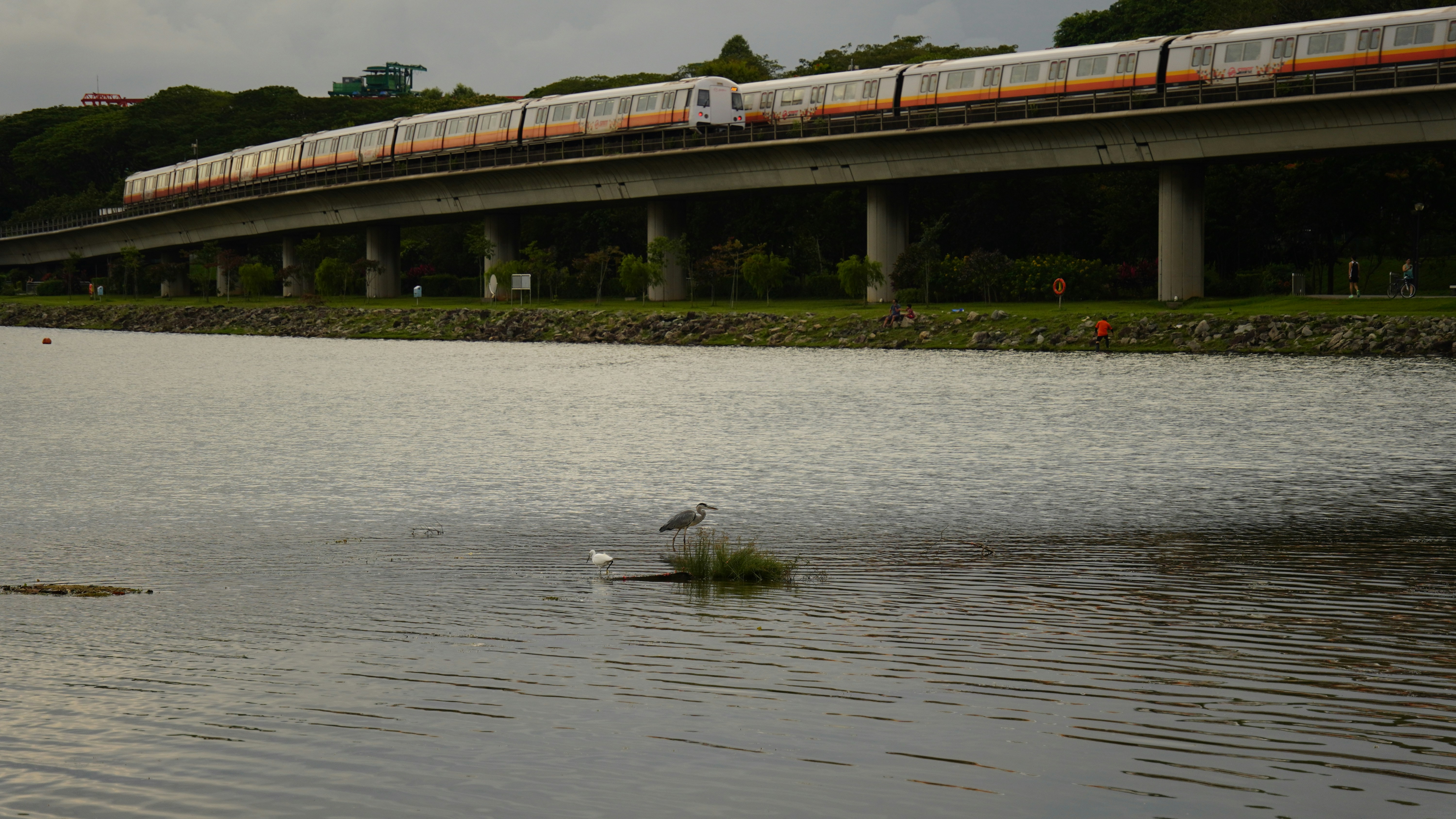 Rails over Water: A Train Along the Riverside
