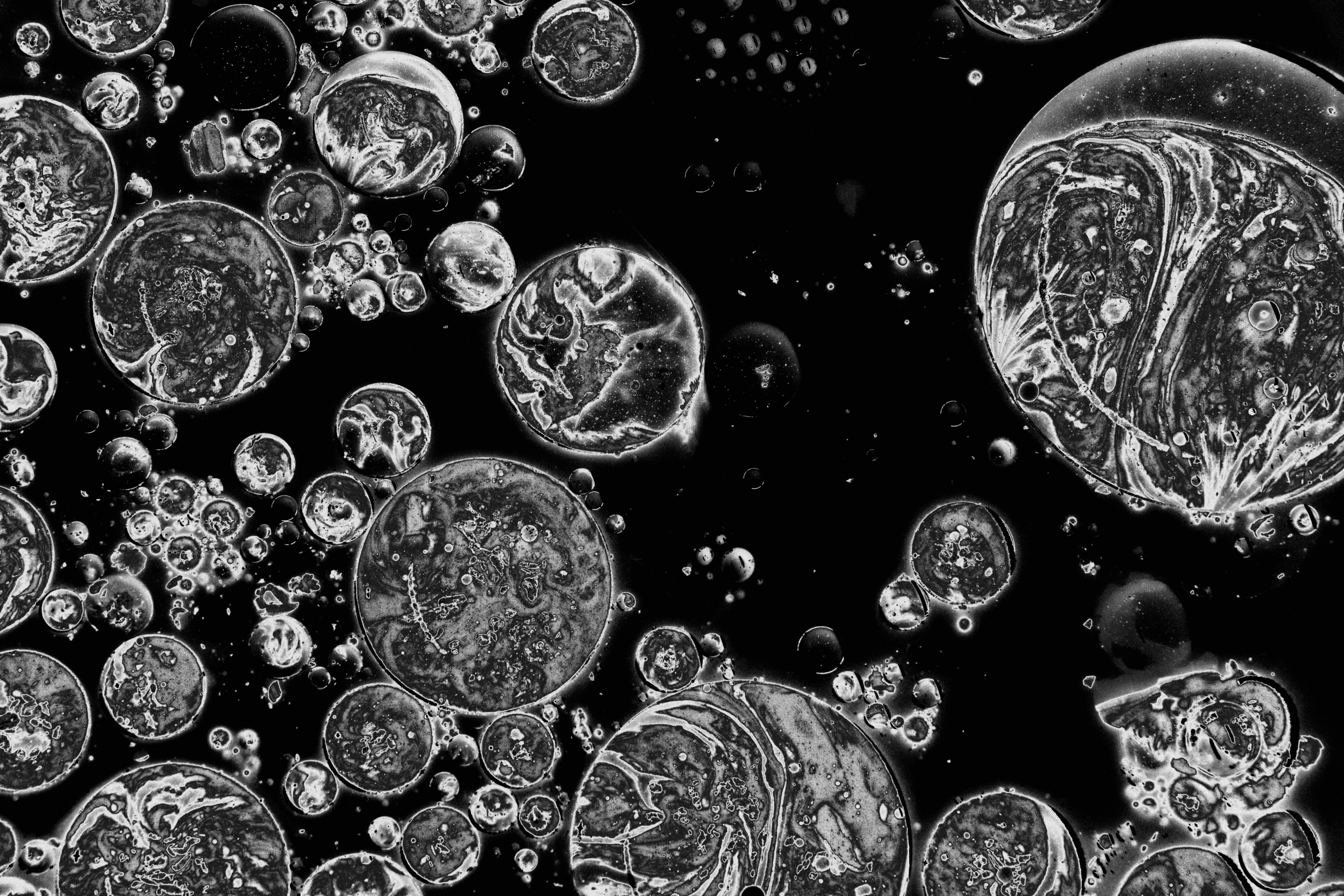Glimmering Orbs in a Dark Field