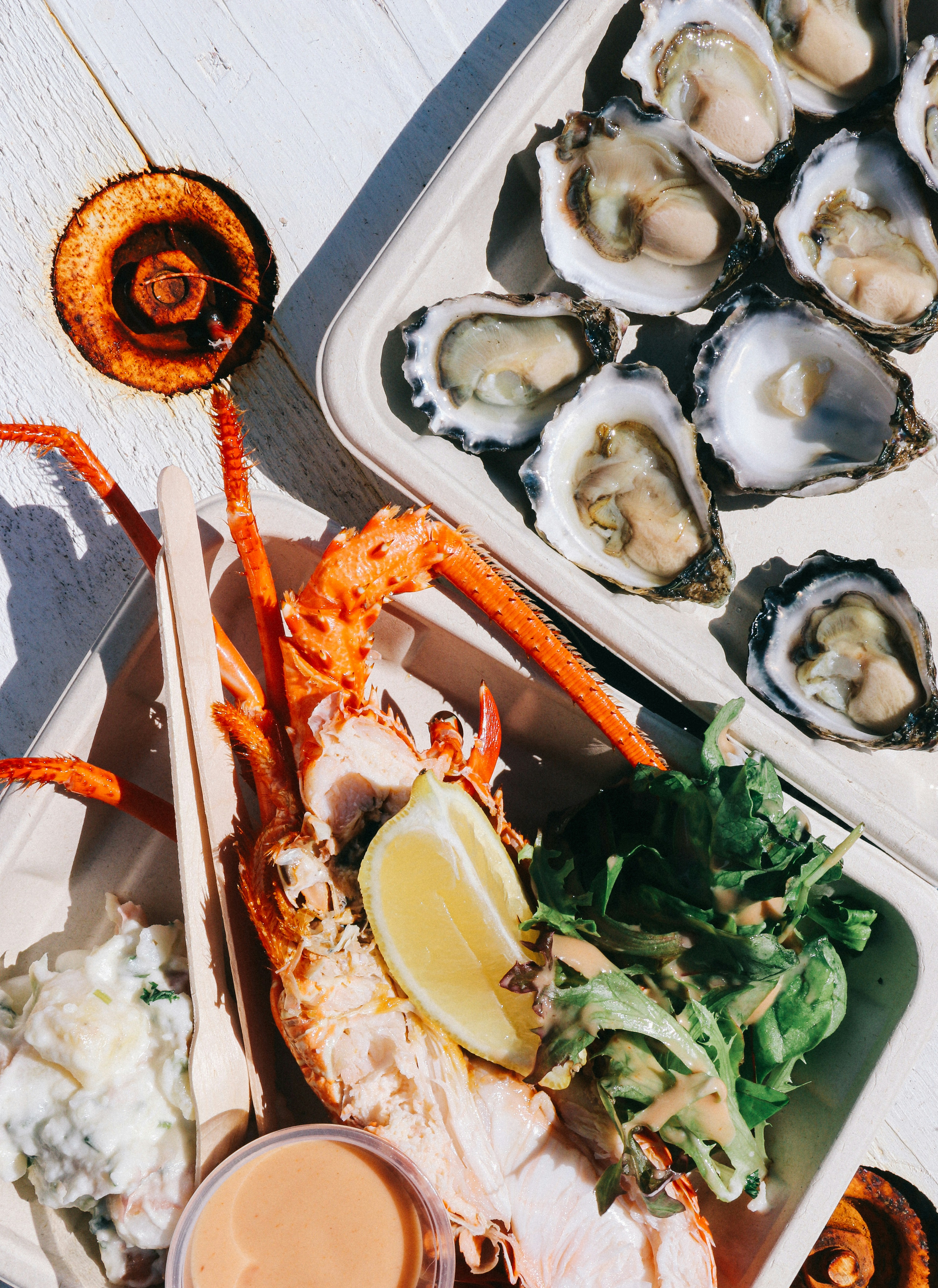 Citrus, crustaceans, and oysters: a coastal feast on a sunlit deck