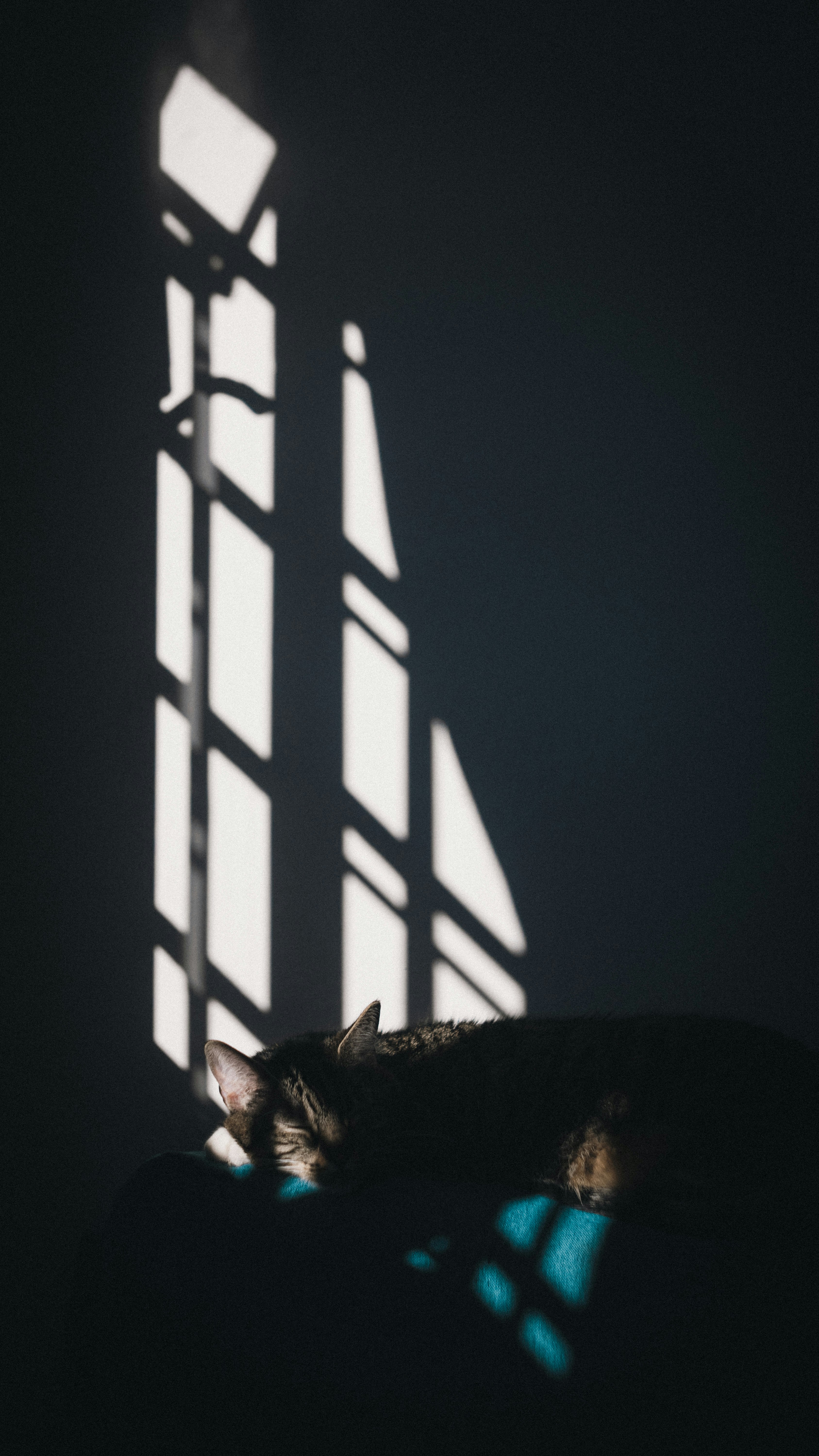 Shadowed Slumber Under Geometric Light