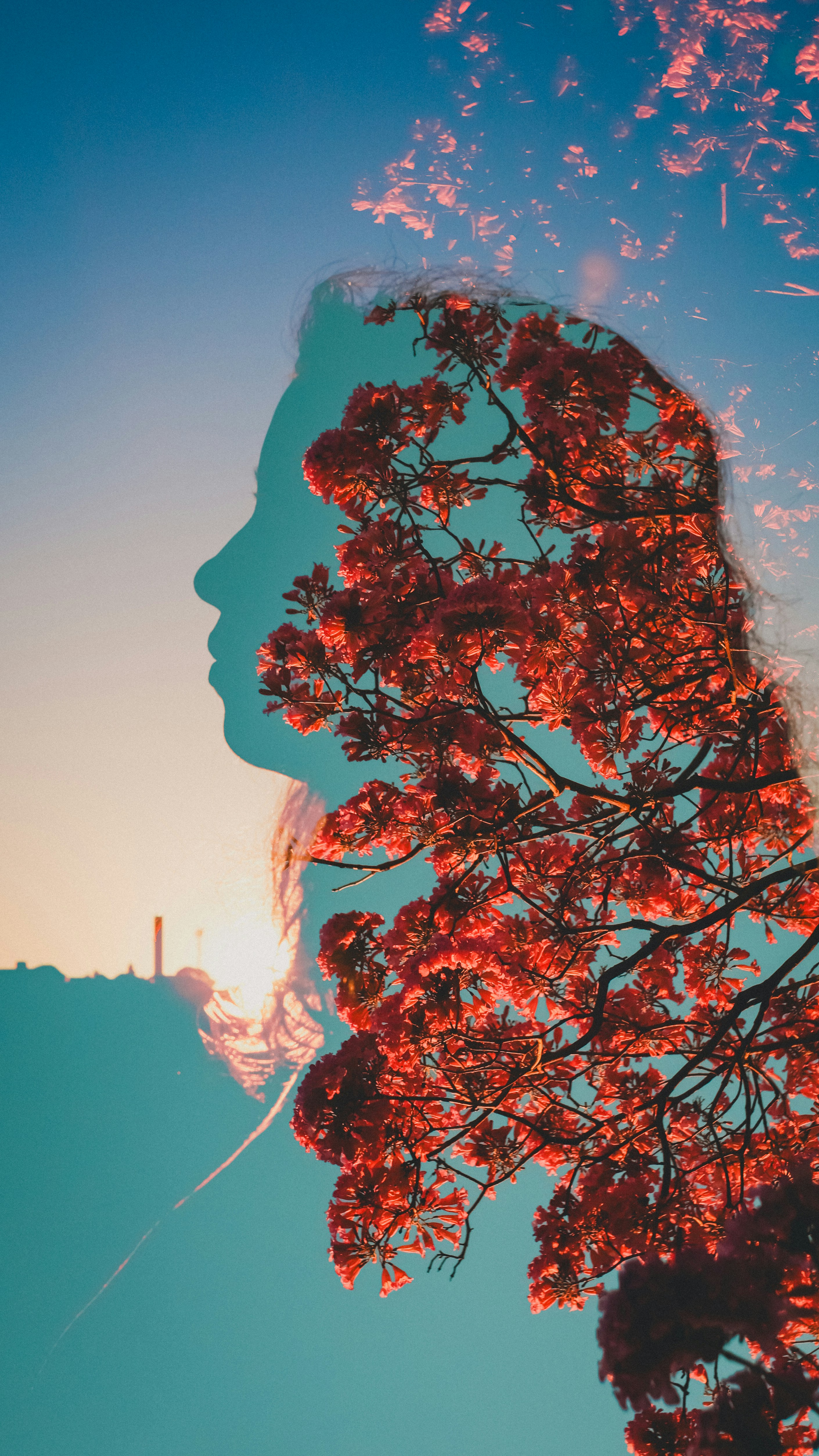 Merged Echoes: Portrait Silhouettes with a Sunset Bloom