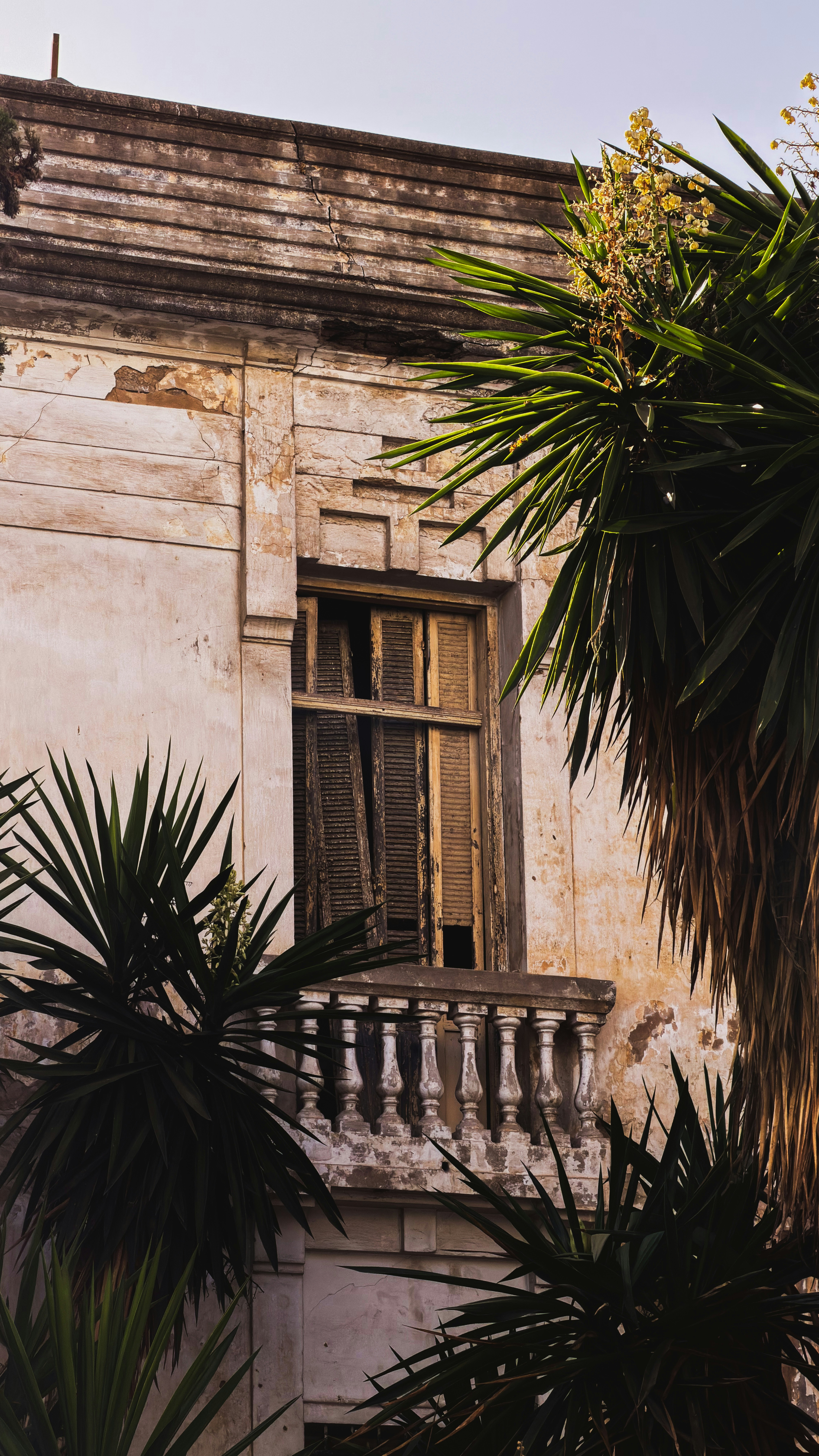 Weathered manor framed by spiky greenery and a broken balcony window