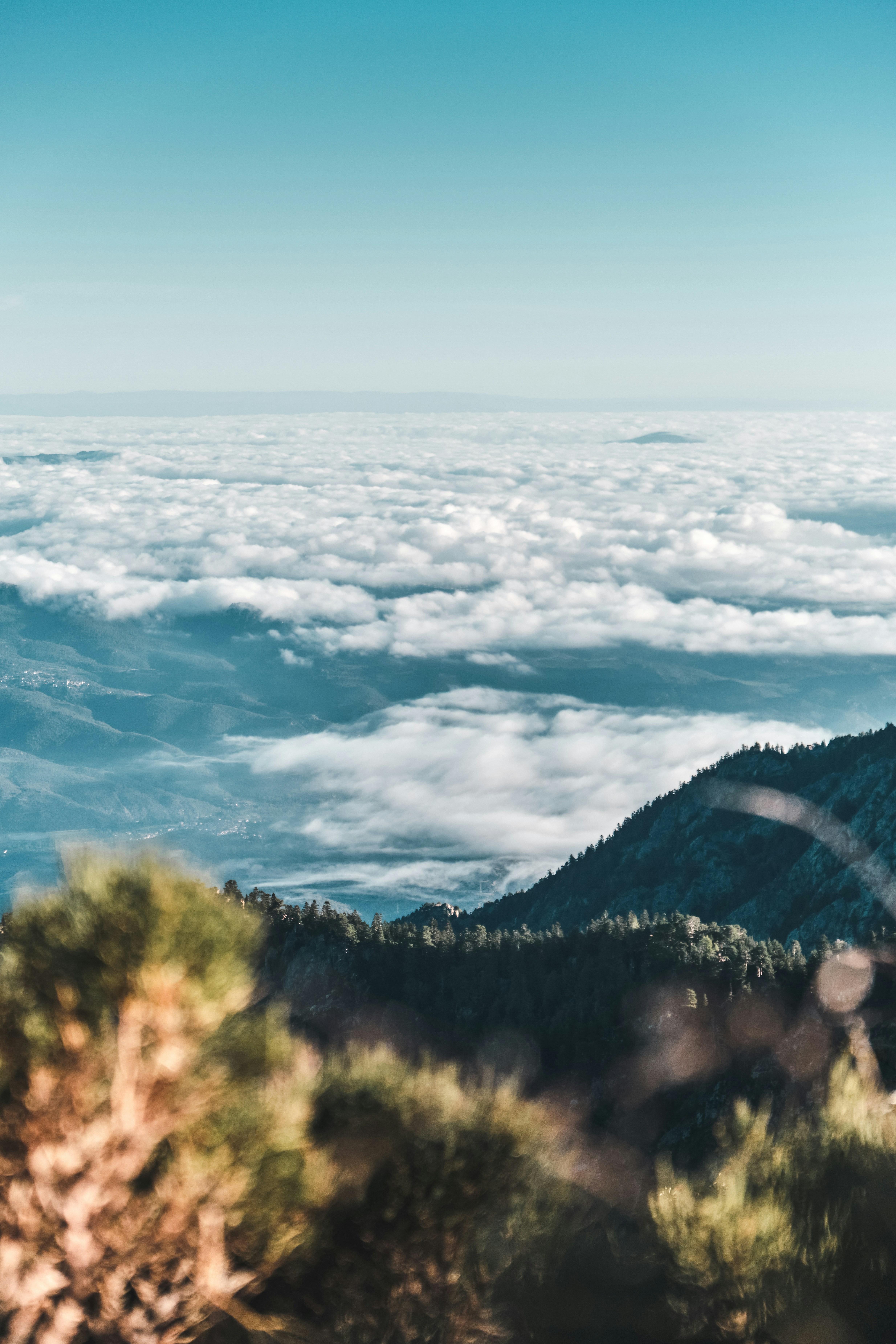 Above the Clouds: A Quiet Mountain Vantage