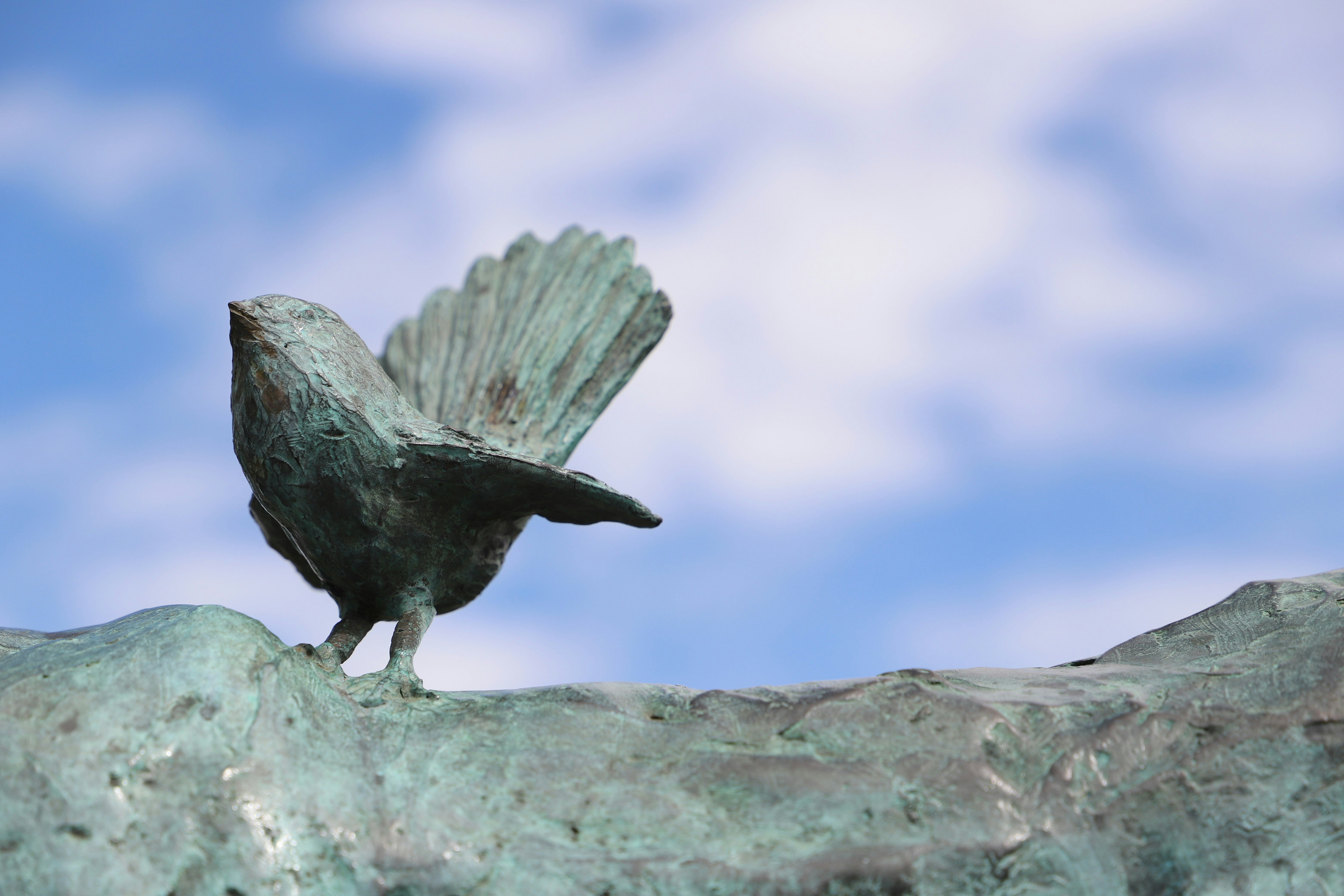 Bronze Warbler on a Weathered Crest